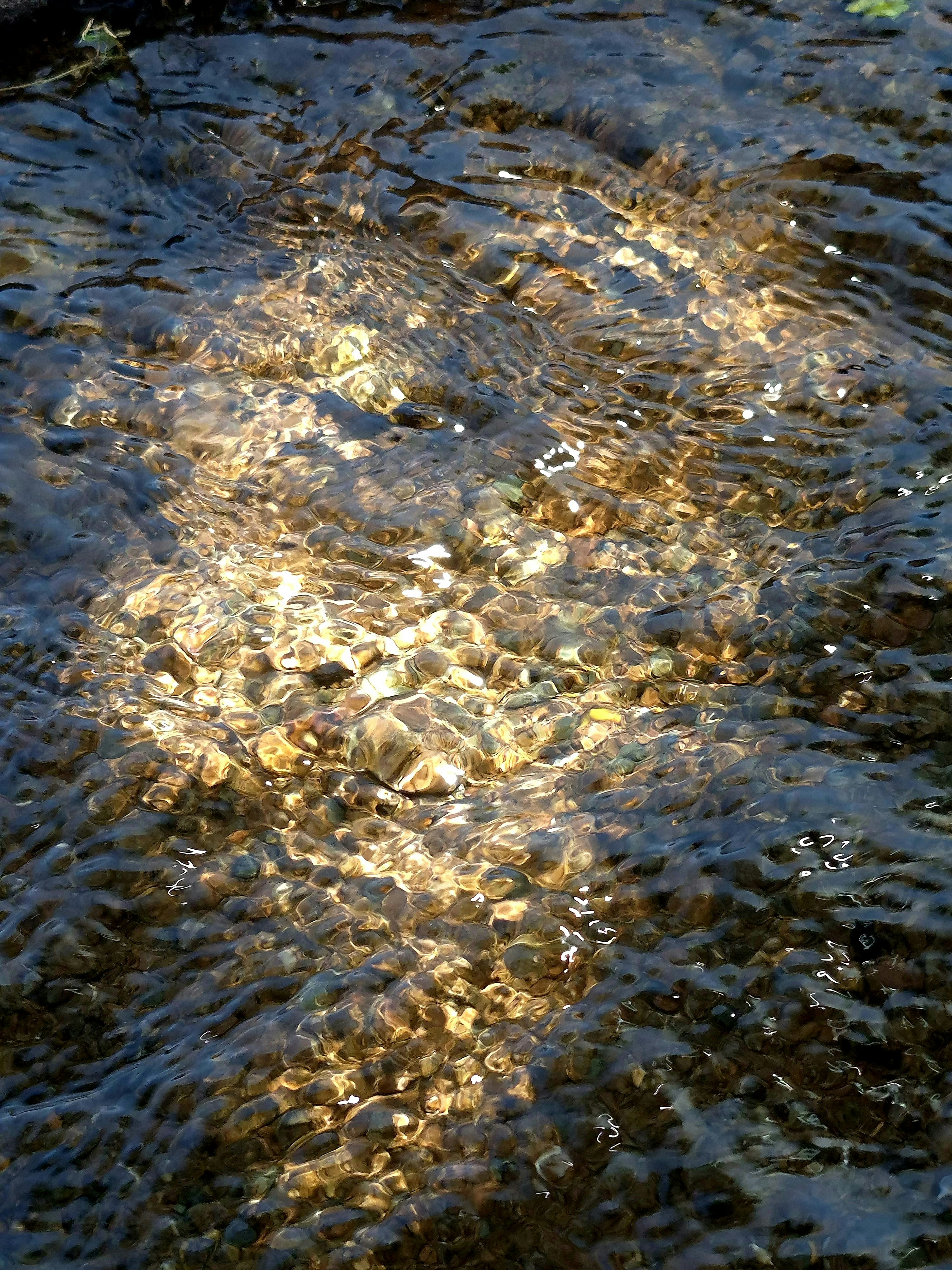 Sunlit Ripples: Pebble Detail in Clear Water