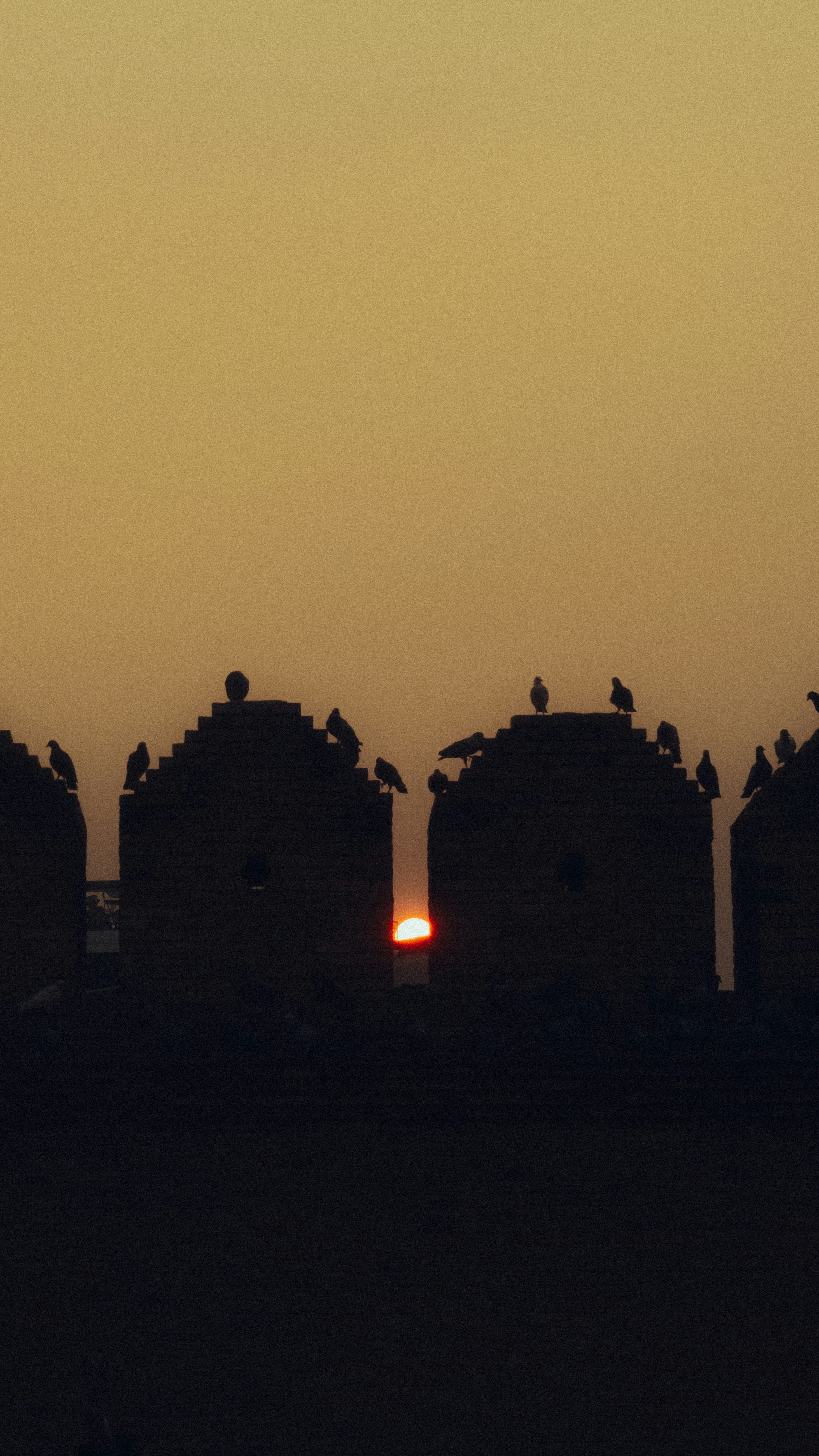 Sunlit Silhouettes: Birds and Chimneys at Dusk