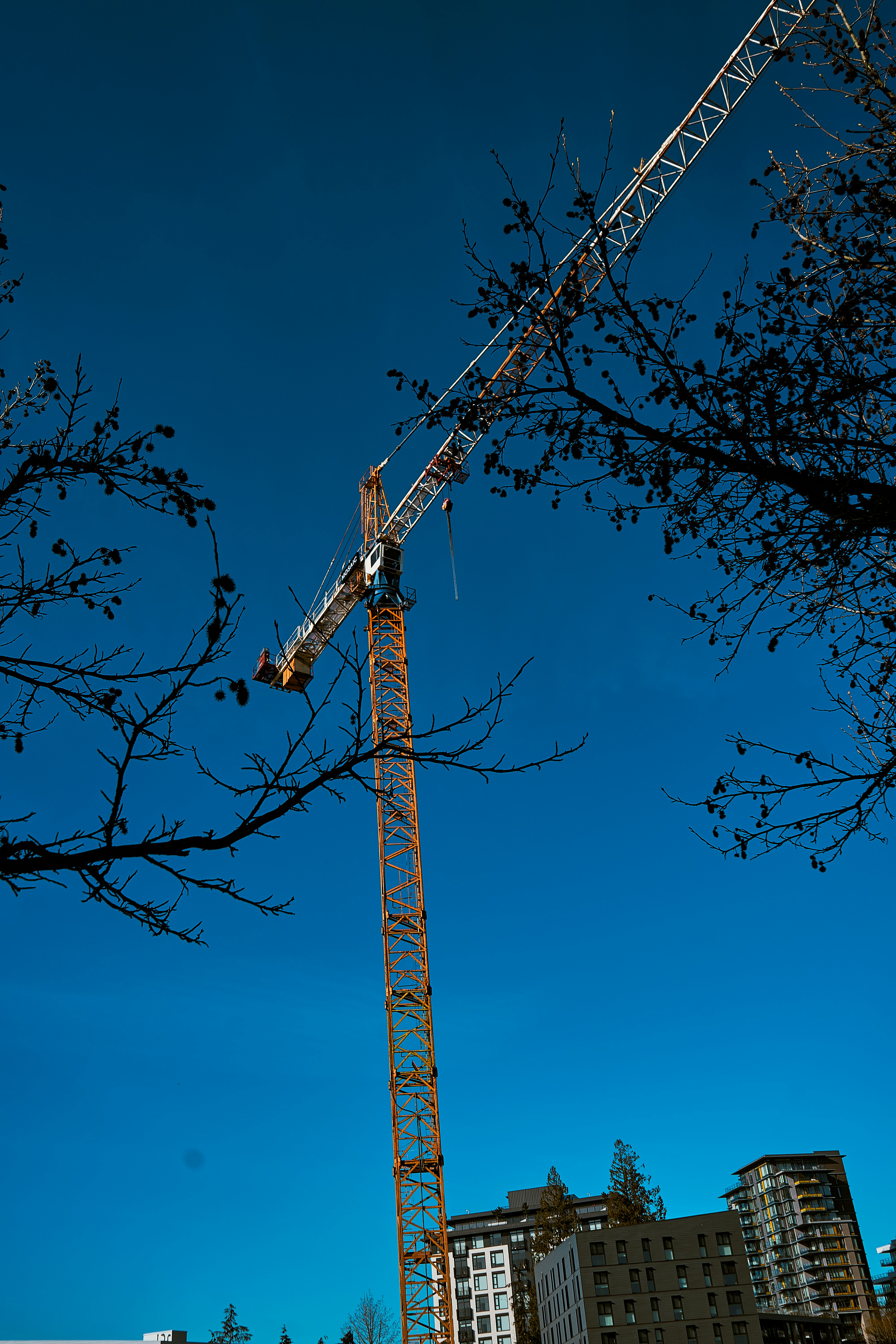 Rising Crane Over City Blocks under a Clear Blue Sky
