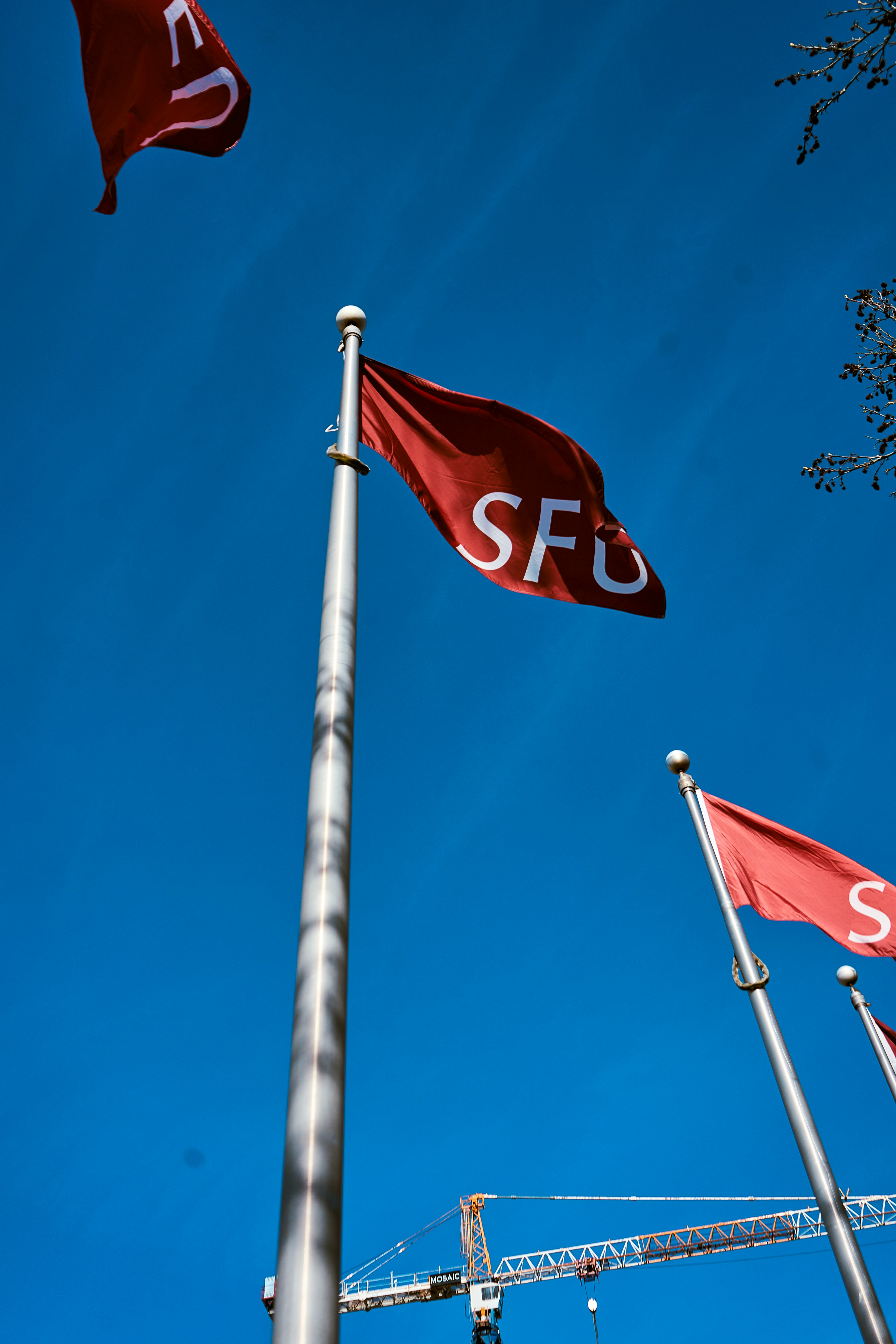 Red Flags Against a Cerulean Sky
