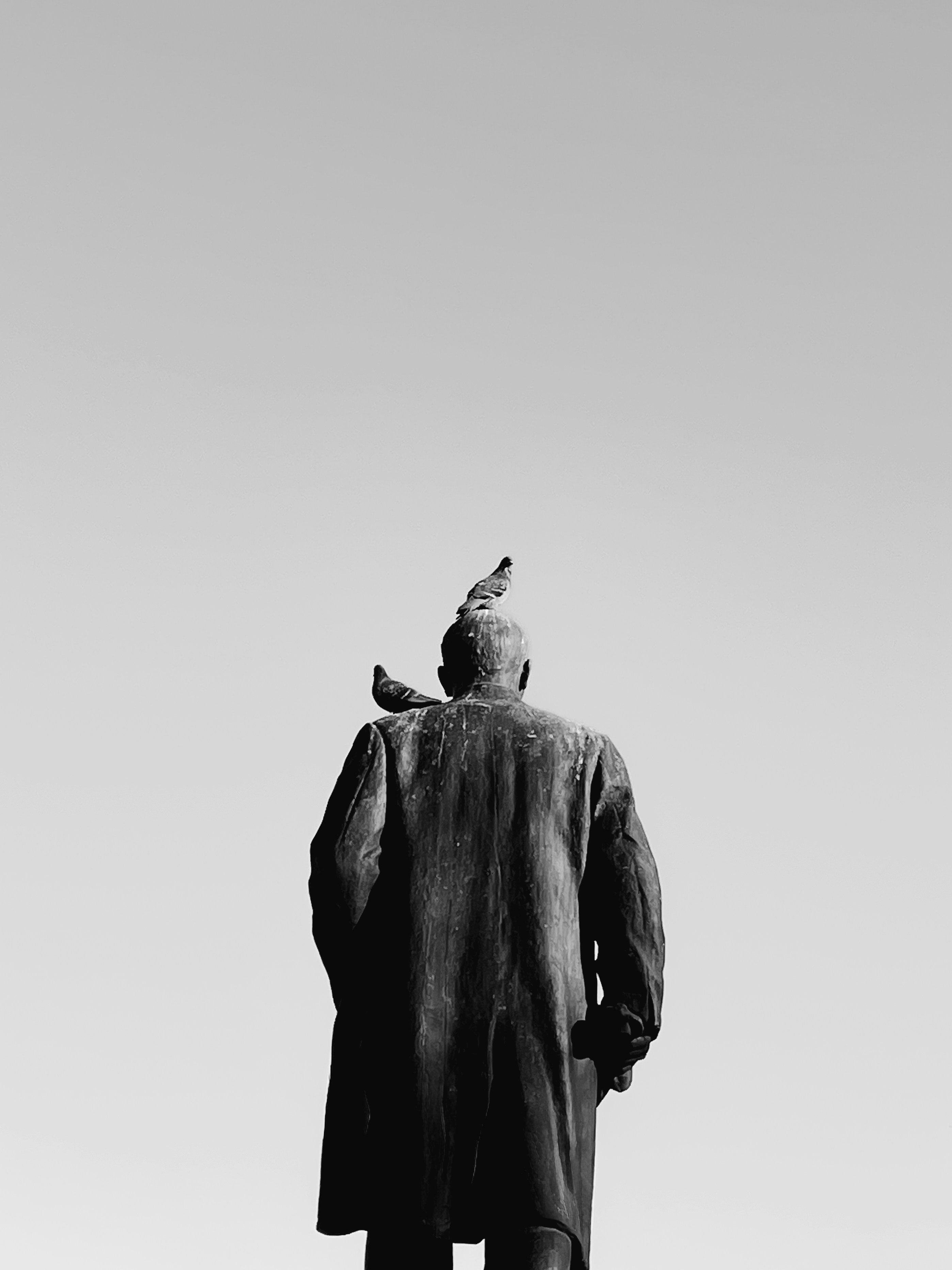 Back to the Quiet Sky: A Lone Figure and a Bird on the Shoulders of Silence