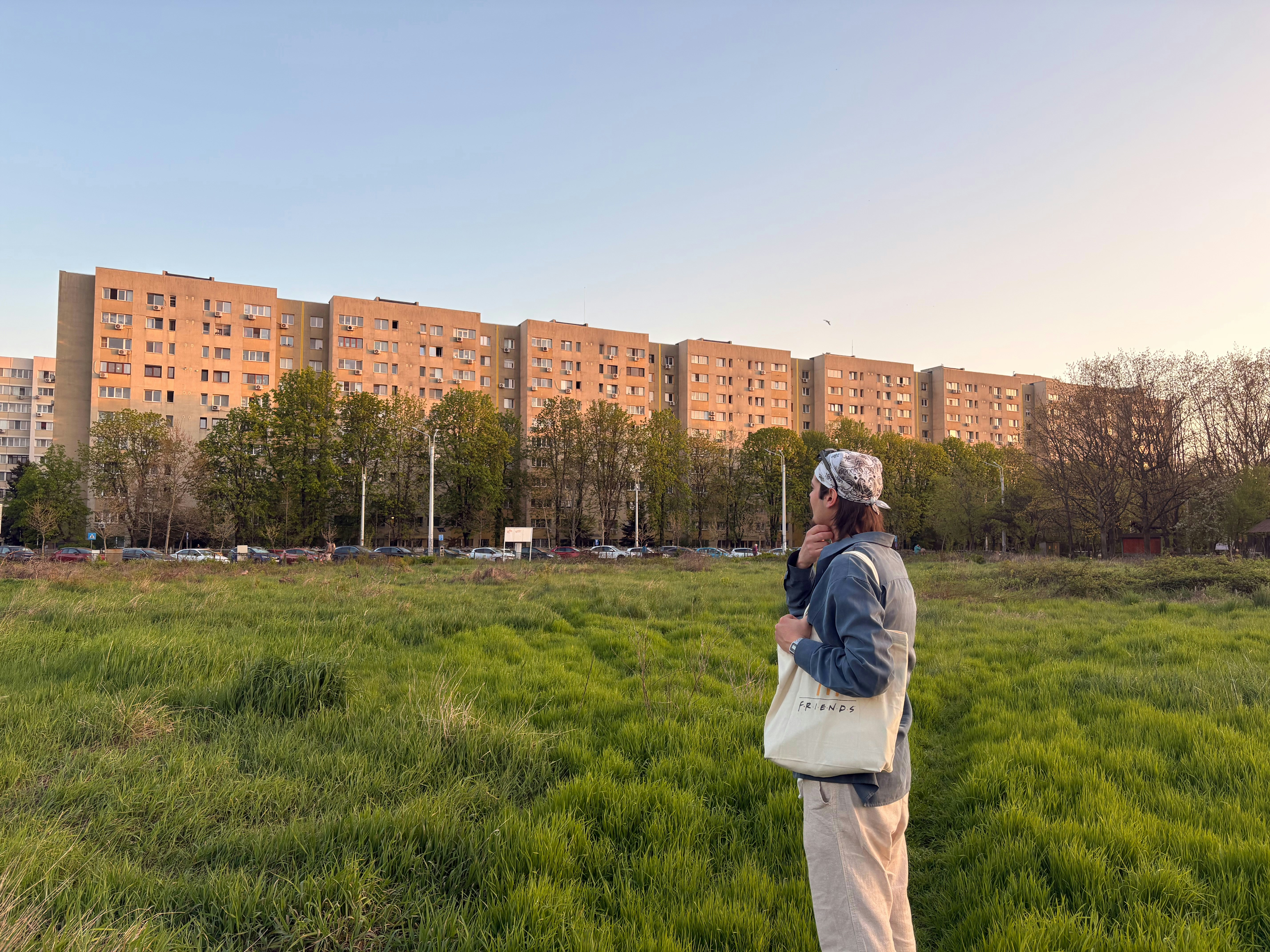 Lone Seeker in a Green Field Before the City