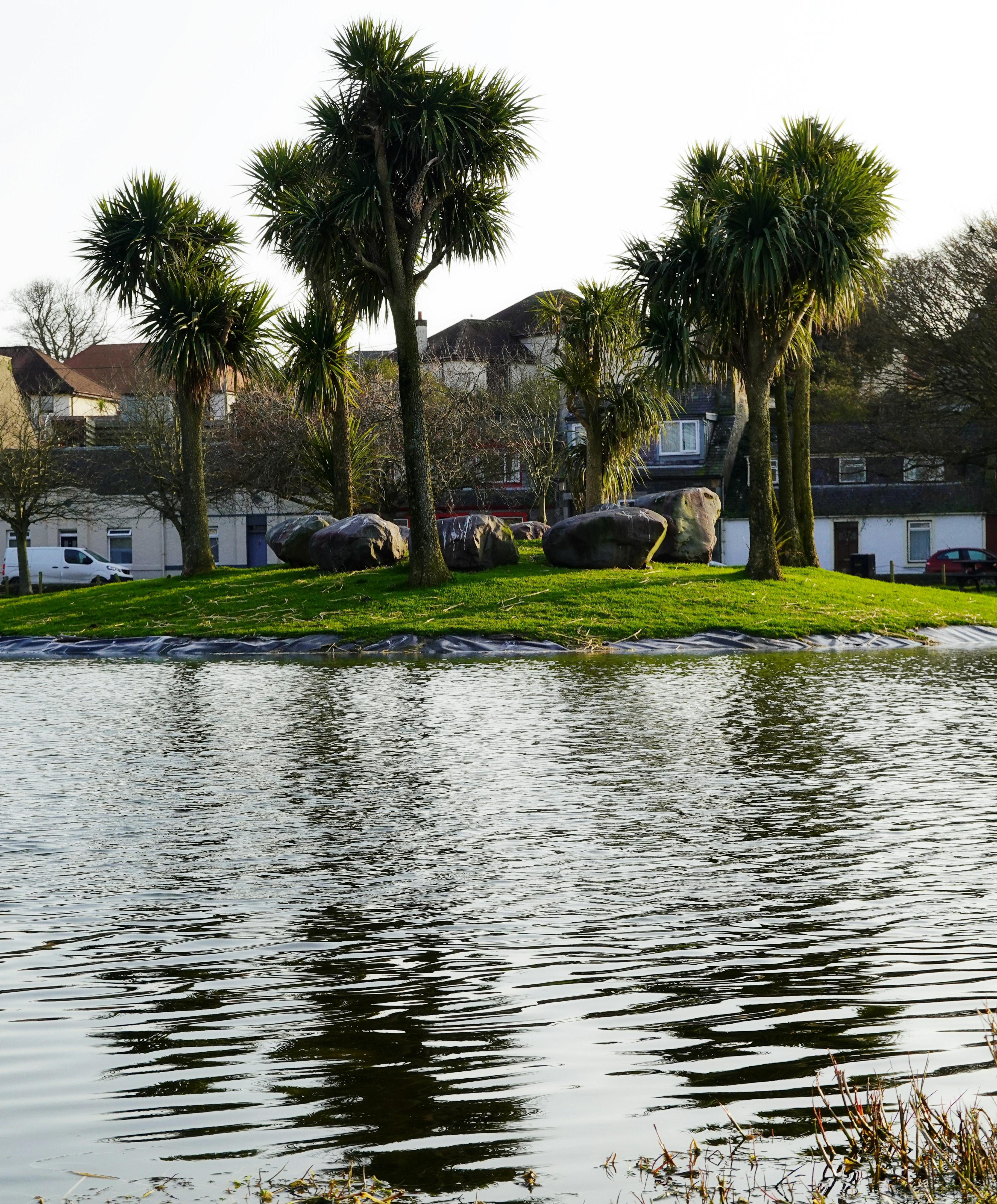 Palm Island on the Quiet Water with City Dwellings
