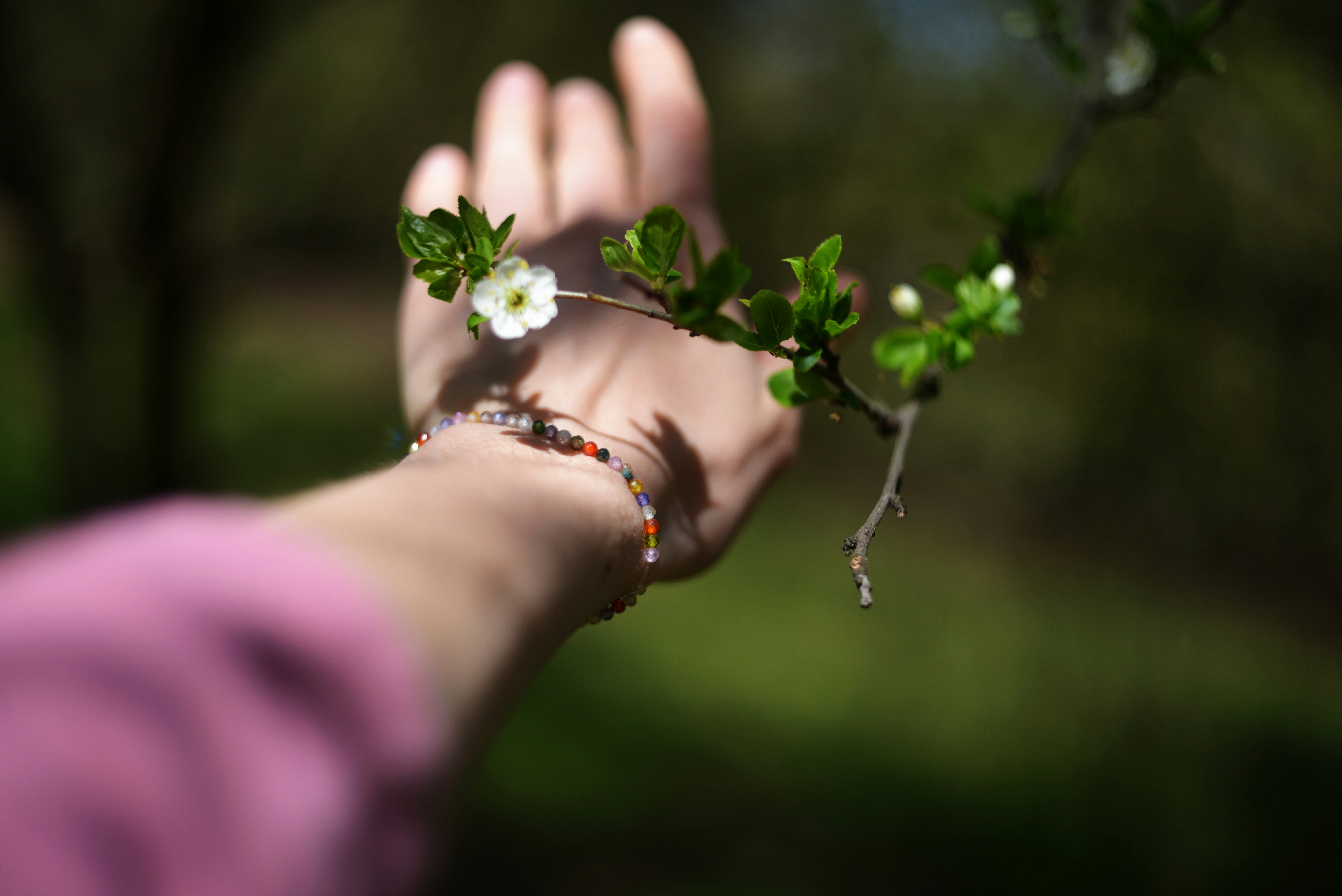 Outstretched Hand Framing a Blossom