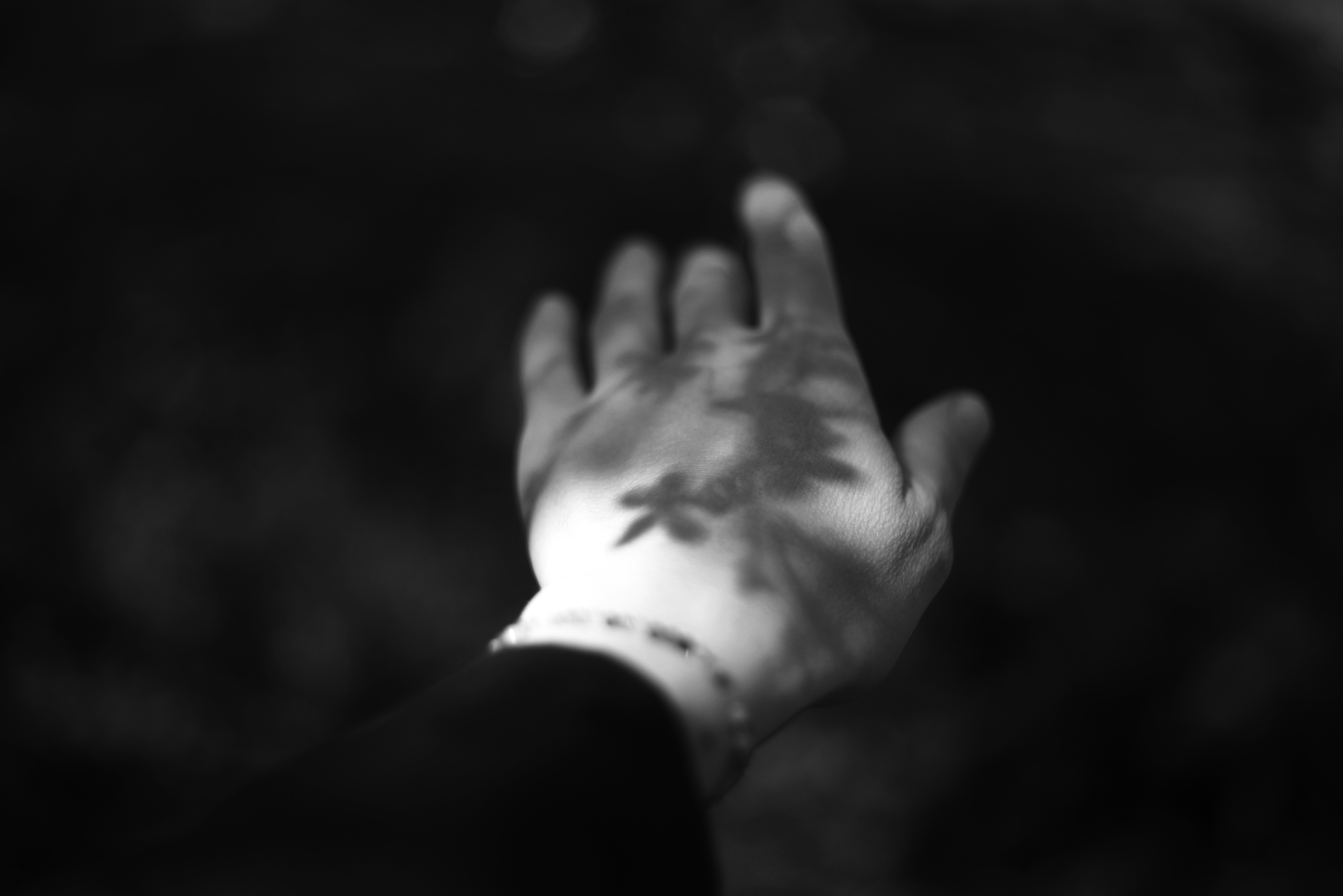 Grasping Light: A Quiet Hand Reaches from Shadow