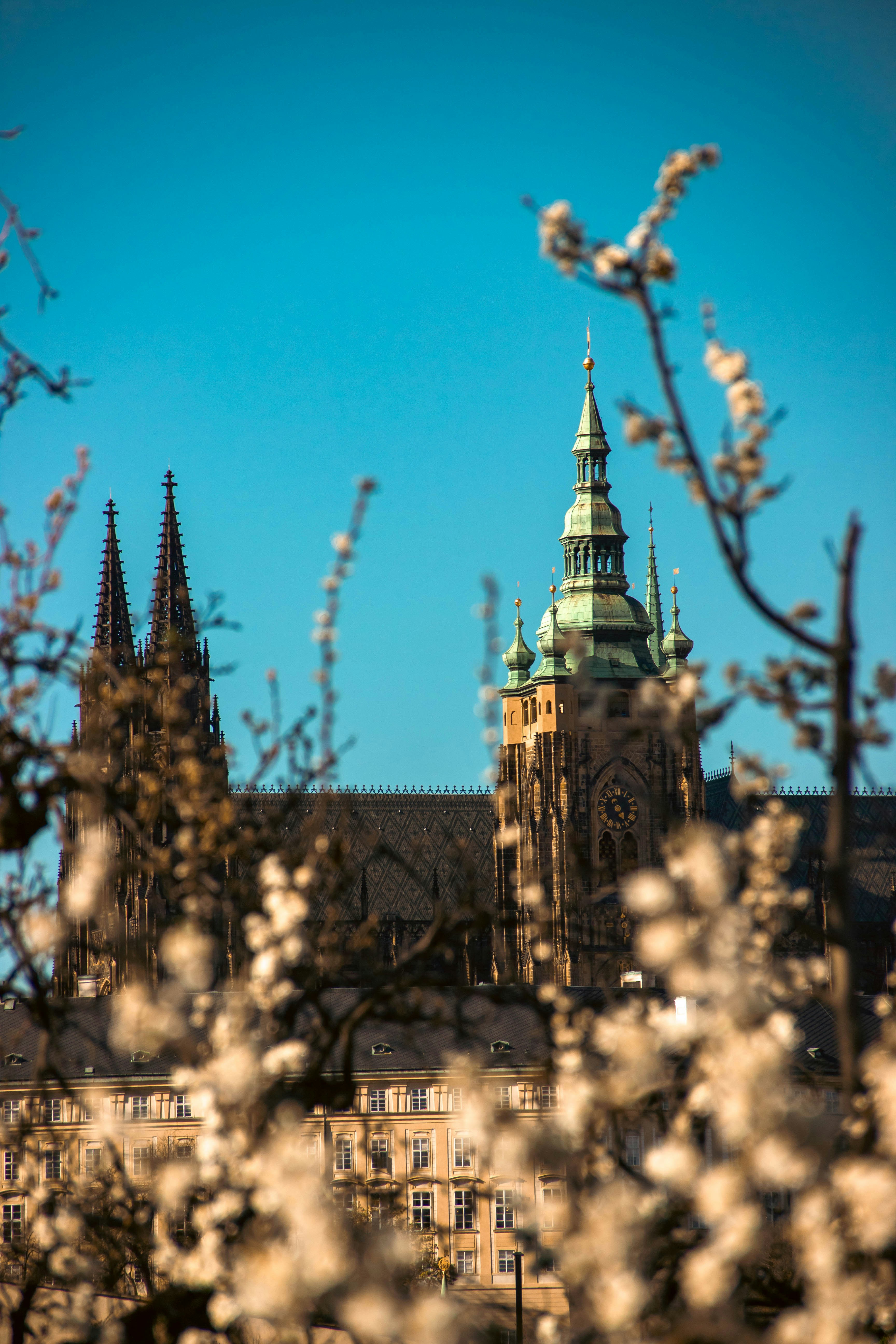 Emerald Spire Above Blossoming Frames