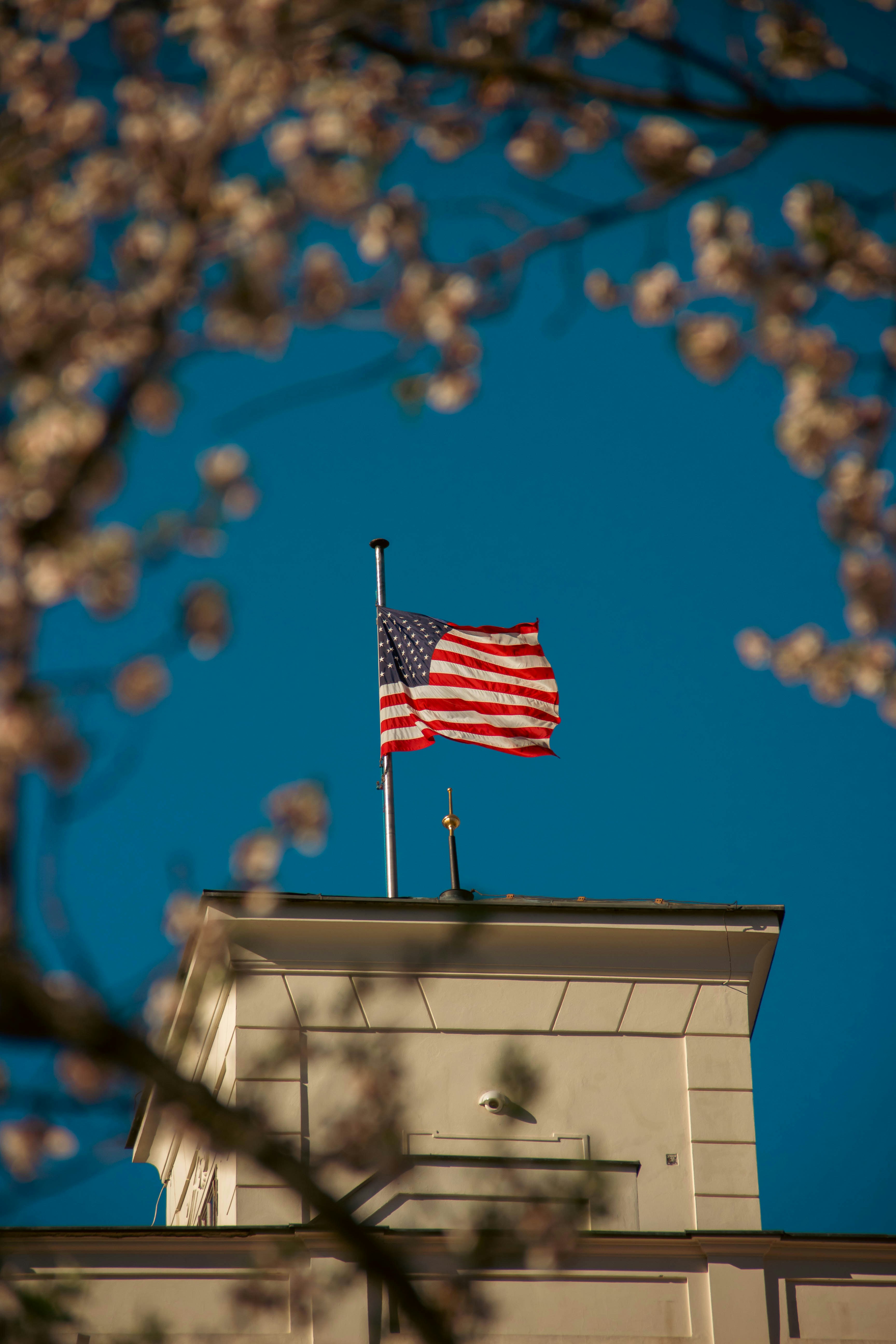 Flag atop a civic building framed by spring blossoms