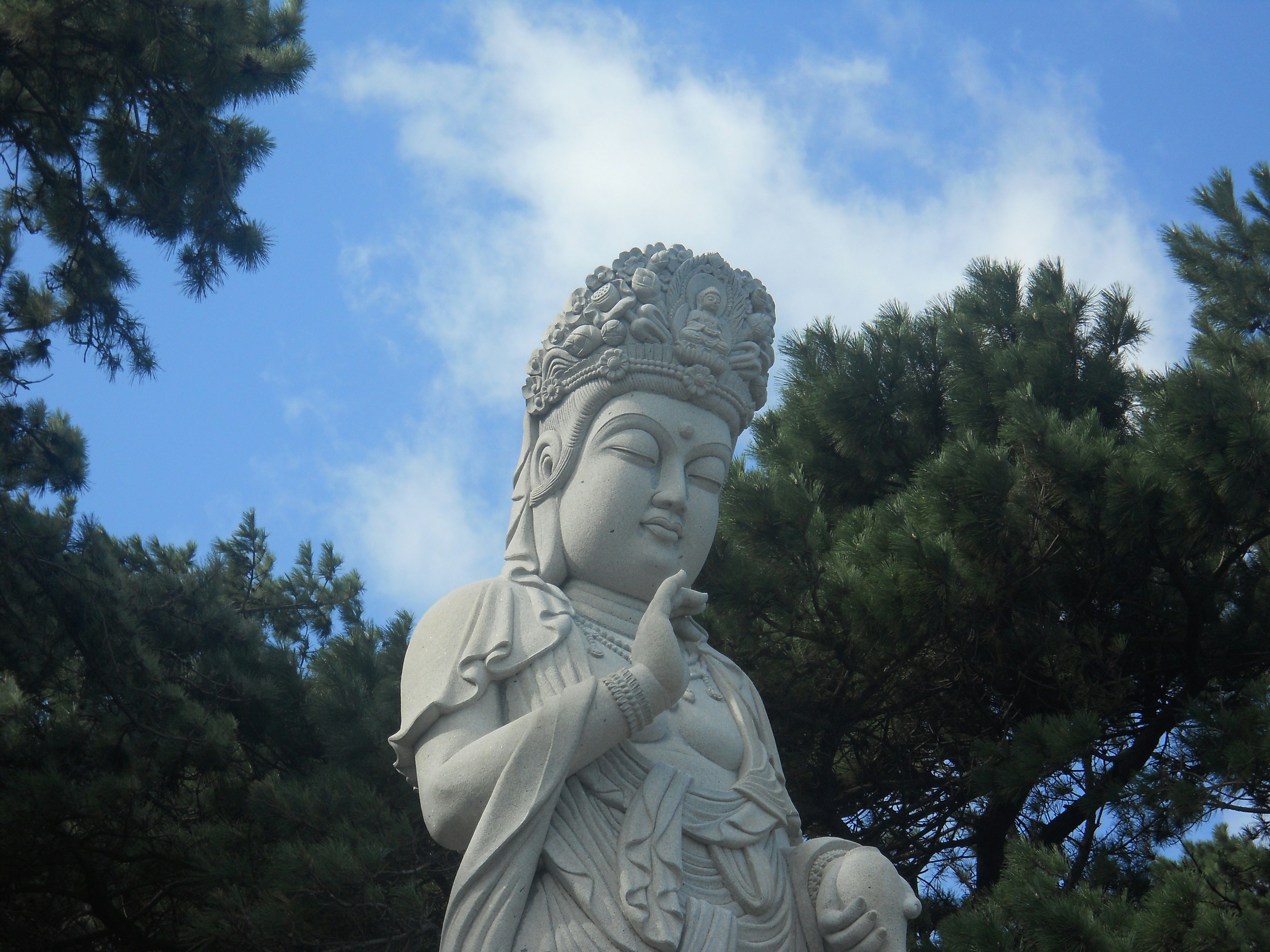 Calm Bodhisattva Amid Pine Shadows