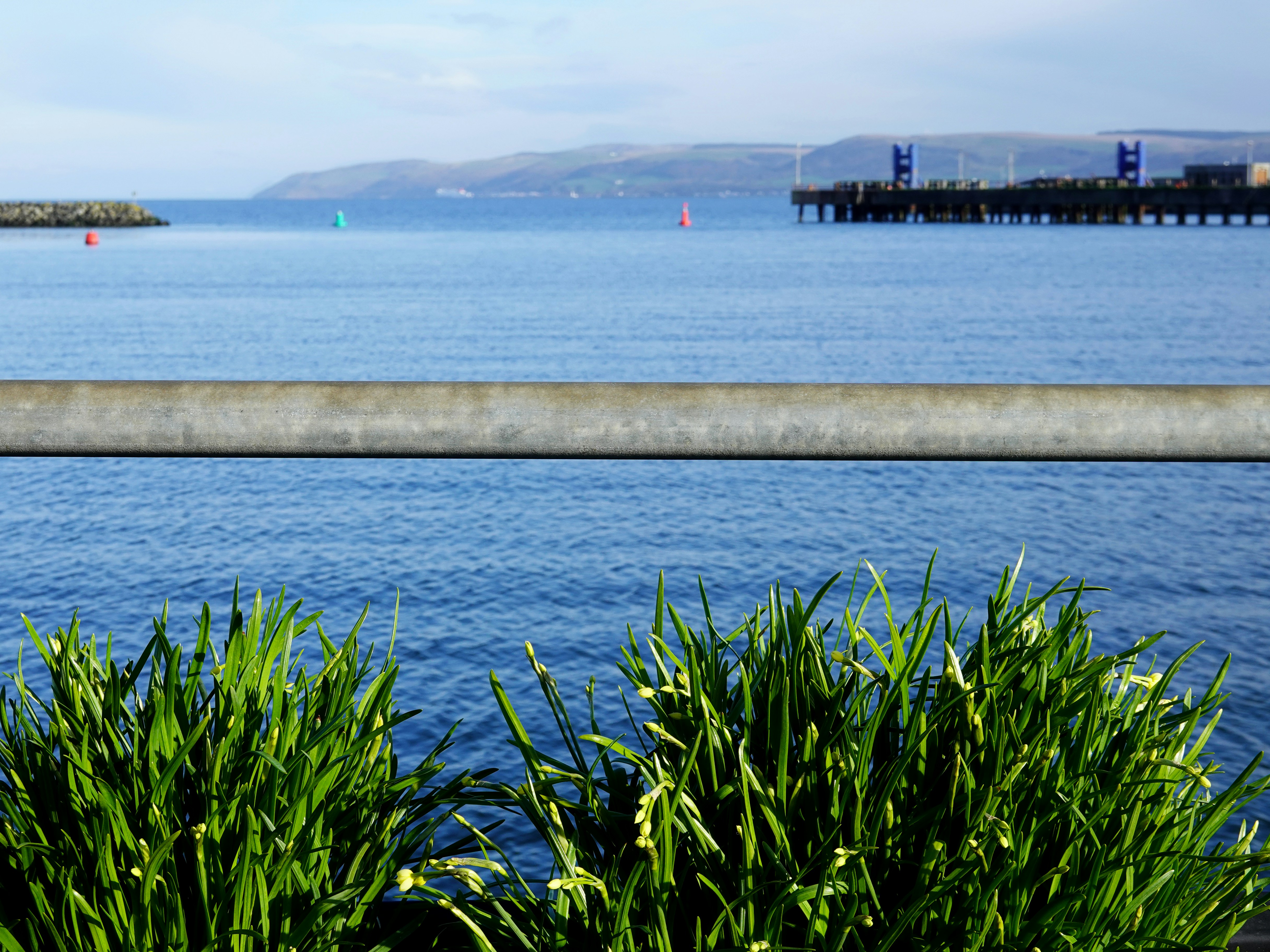 Calm blue ocean with green grass in foreground.