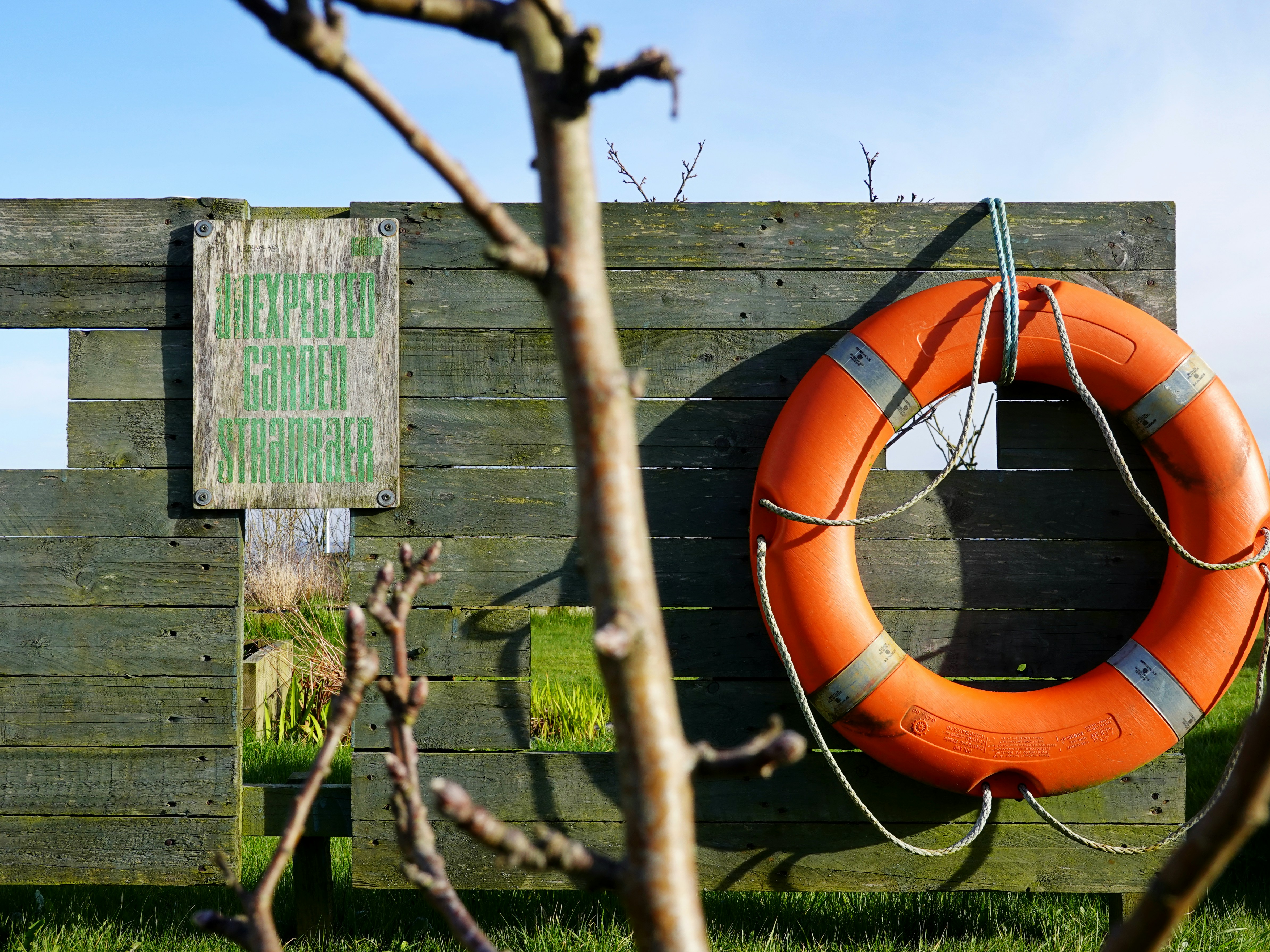 Lifesaver on the Dock: An Orange Circle Guards the Wood