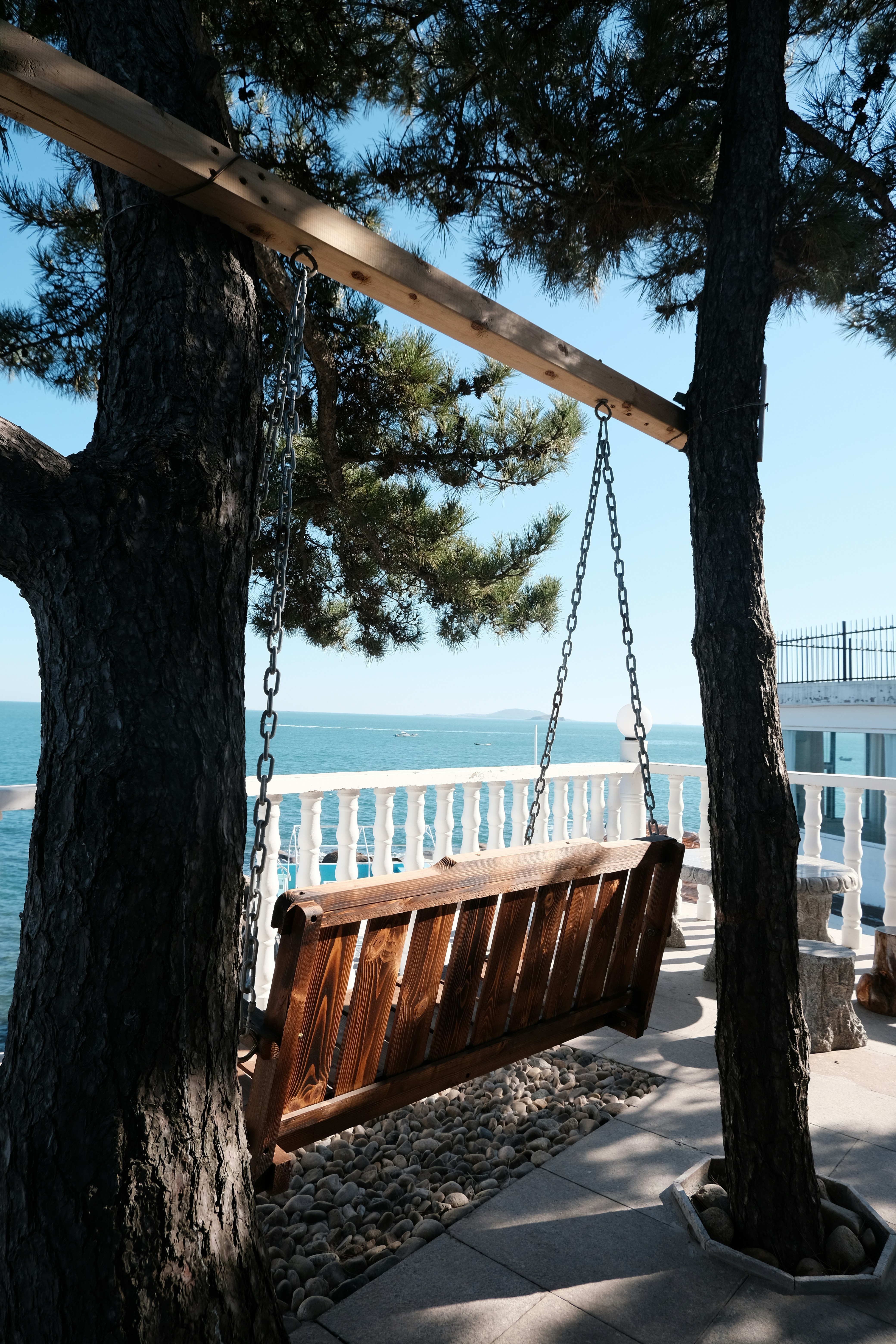 Seaside Swing Under the Pines