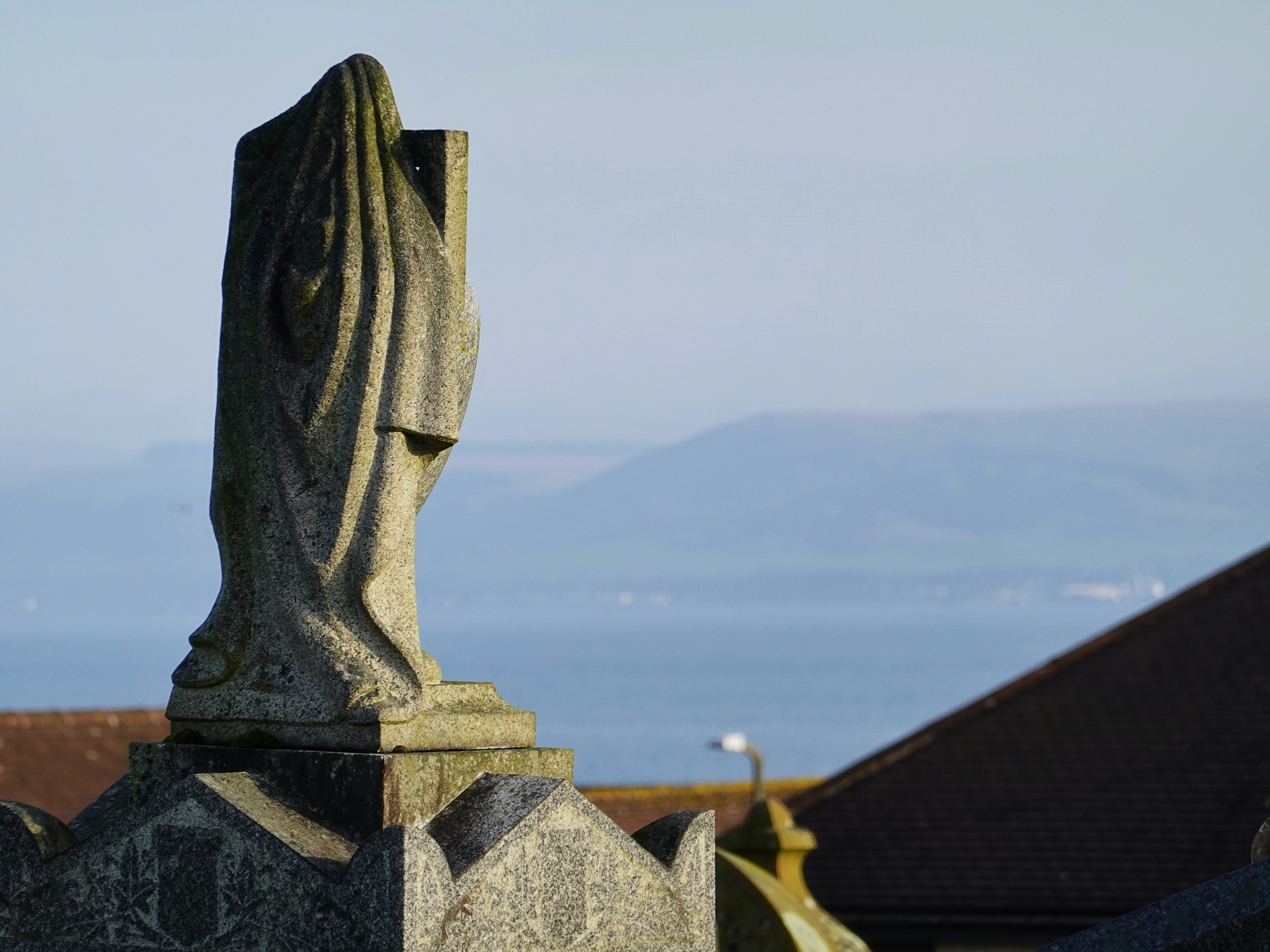 Stone Guardian Against the Distant Horizon