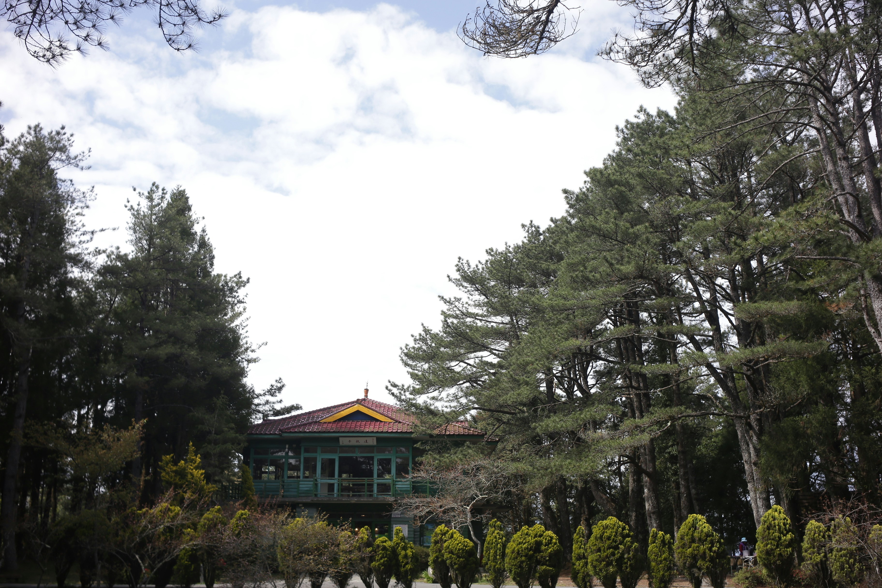 Hidden Pavilion Nestled Among Pines