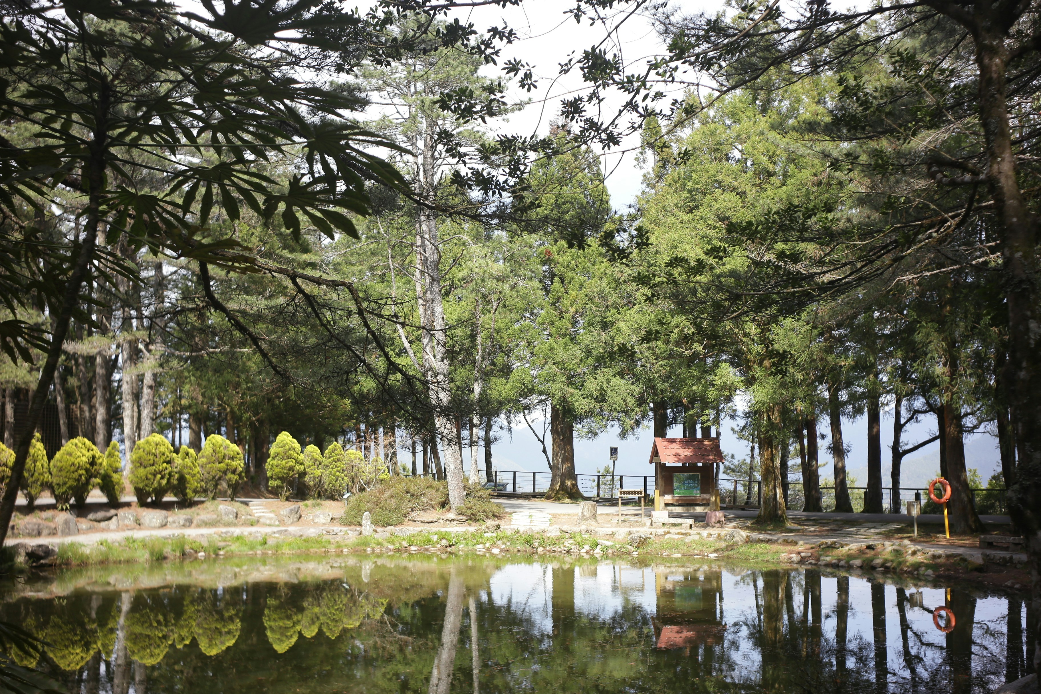 Tranquil lakeside clearing with a distant pavilion and reflections