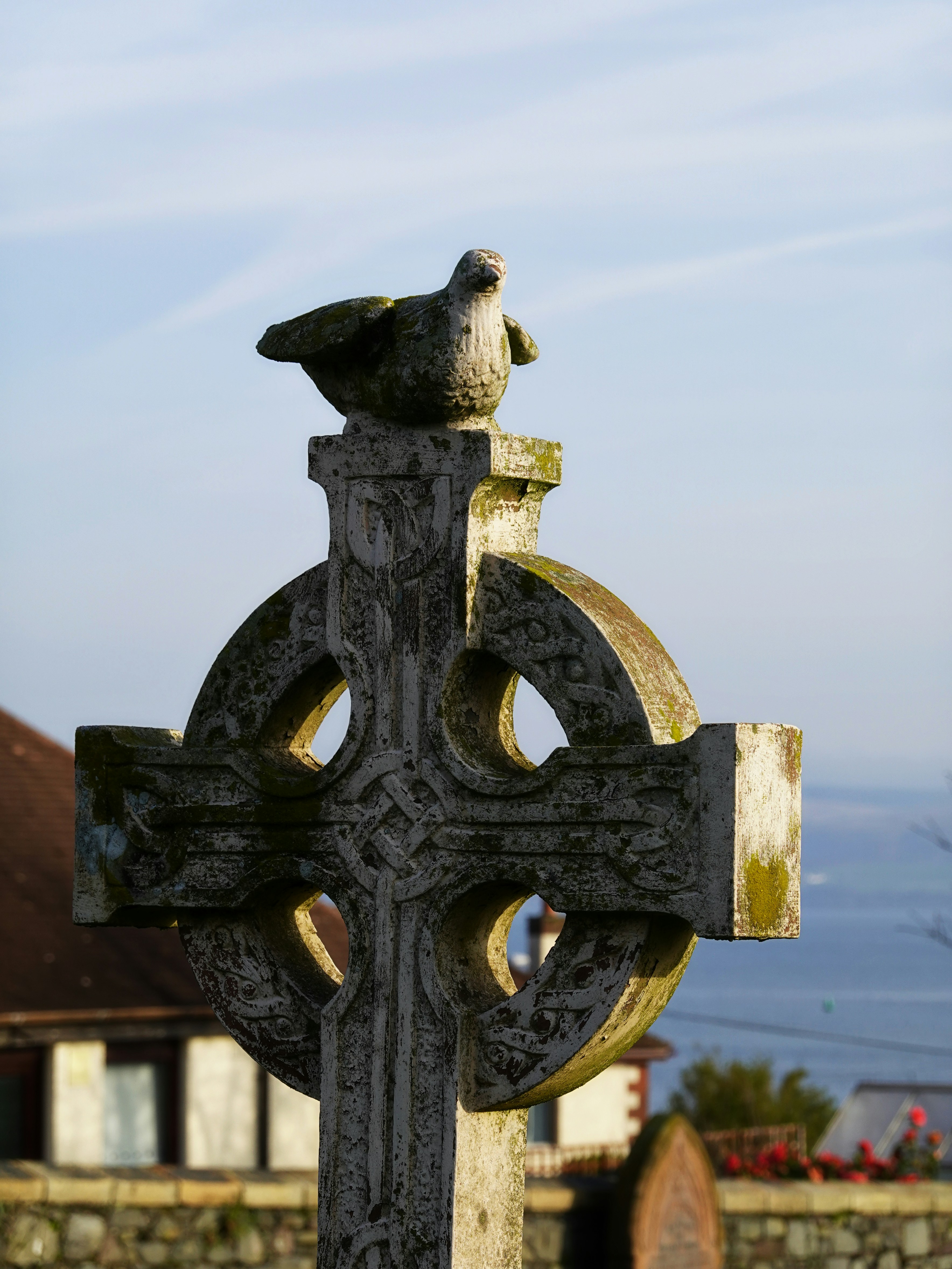 Heritage Sentinel: A weathered Celtic cross crowned by a stone gull