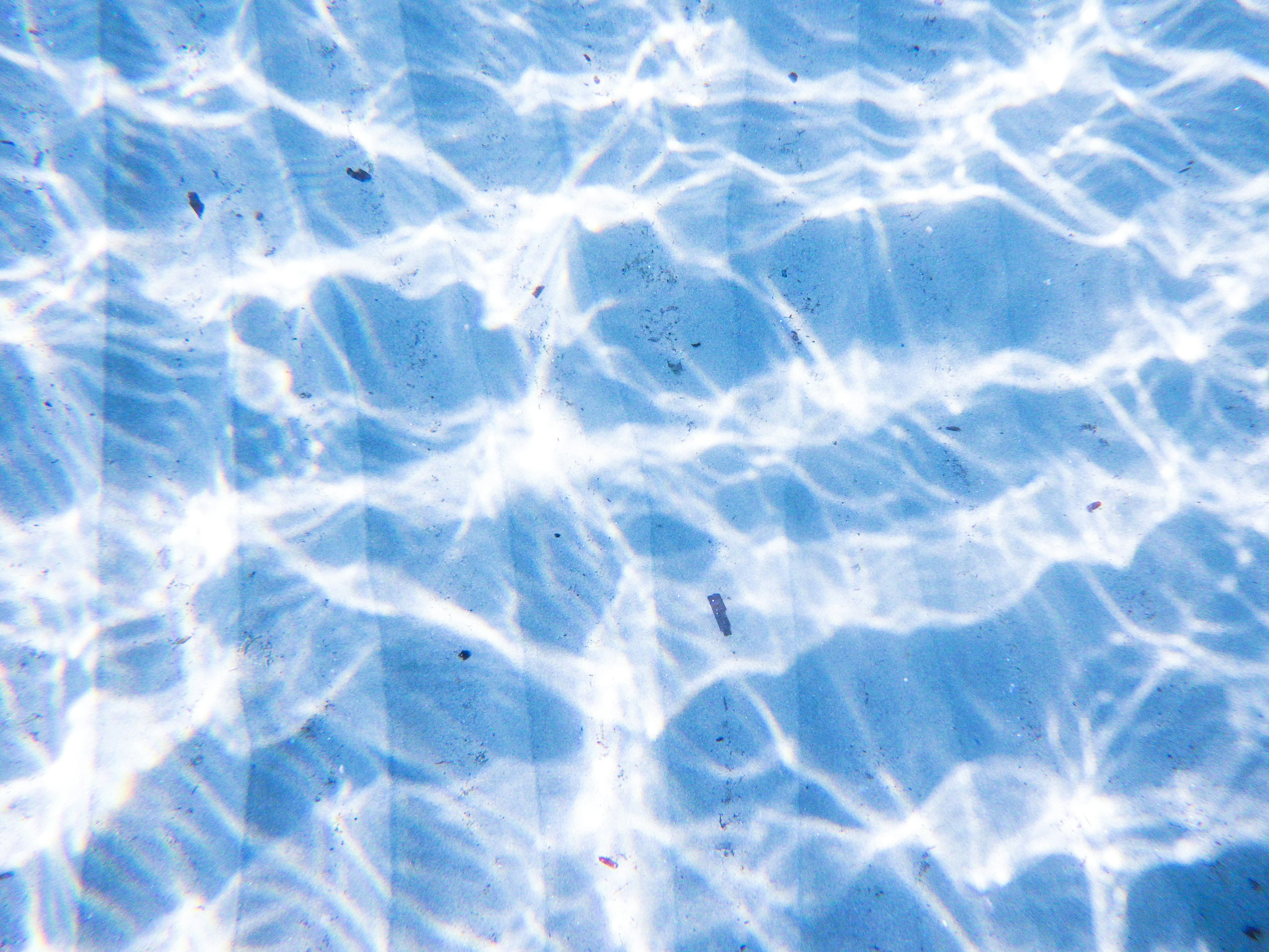 Ripple Portrait in a Sunlit Pool