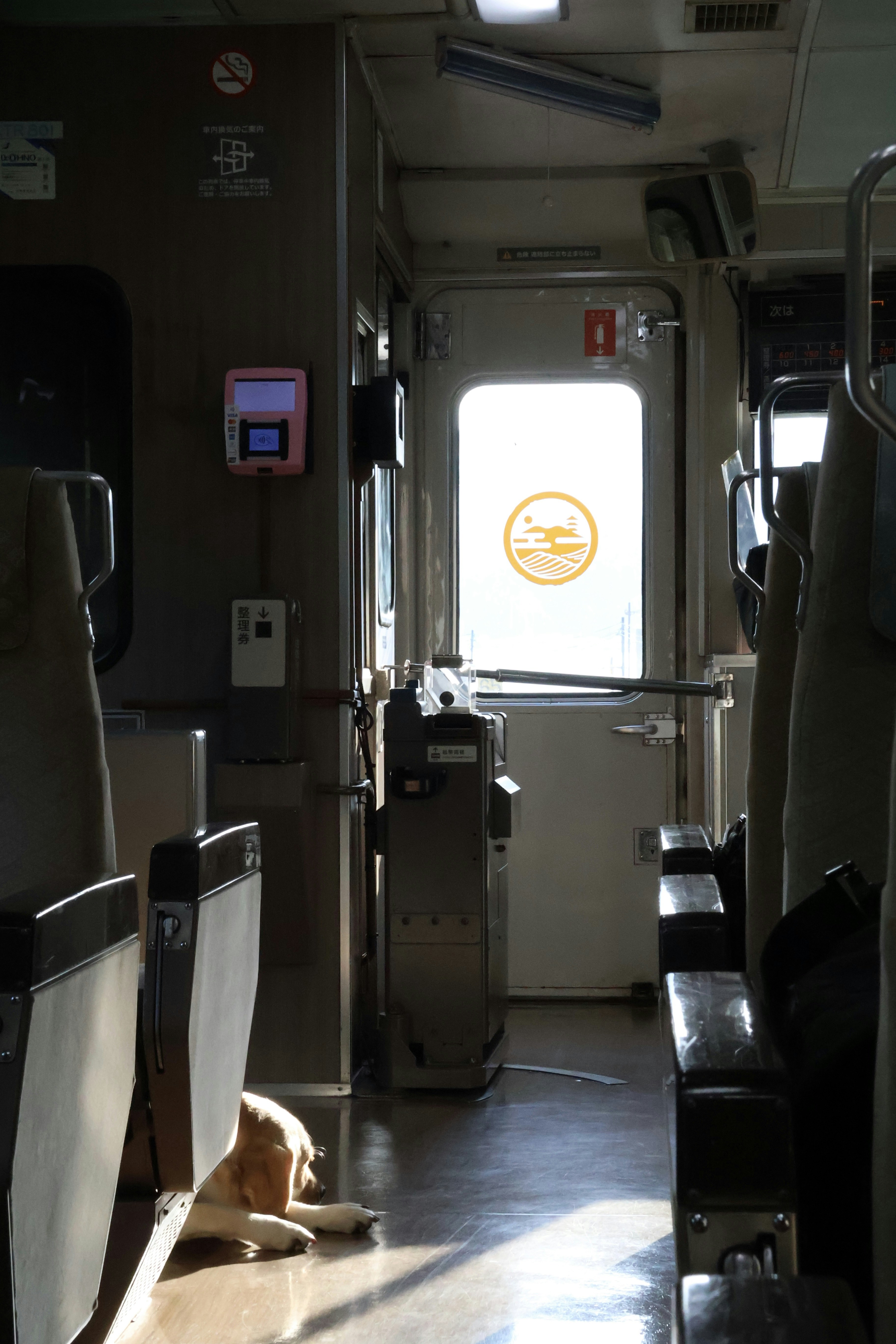 A dog rests on the train floor near the doorway, sunlight streaming through the window and casting a warm glow on the aisle. Minimal passengers; the scene emphasizes calm and solitude inside a moving carriage.