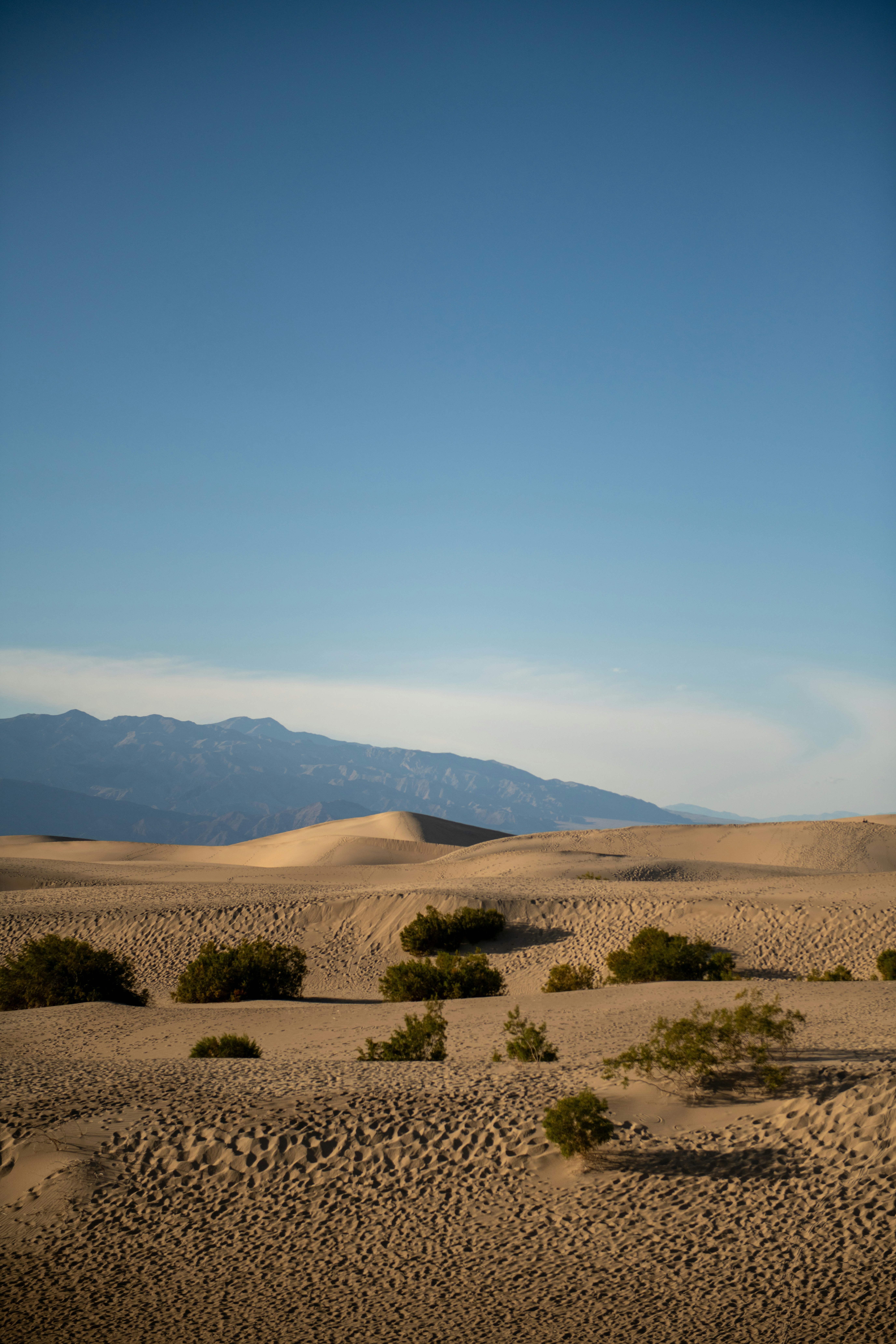 Desert Dunes Under a Quiet Blue Sky