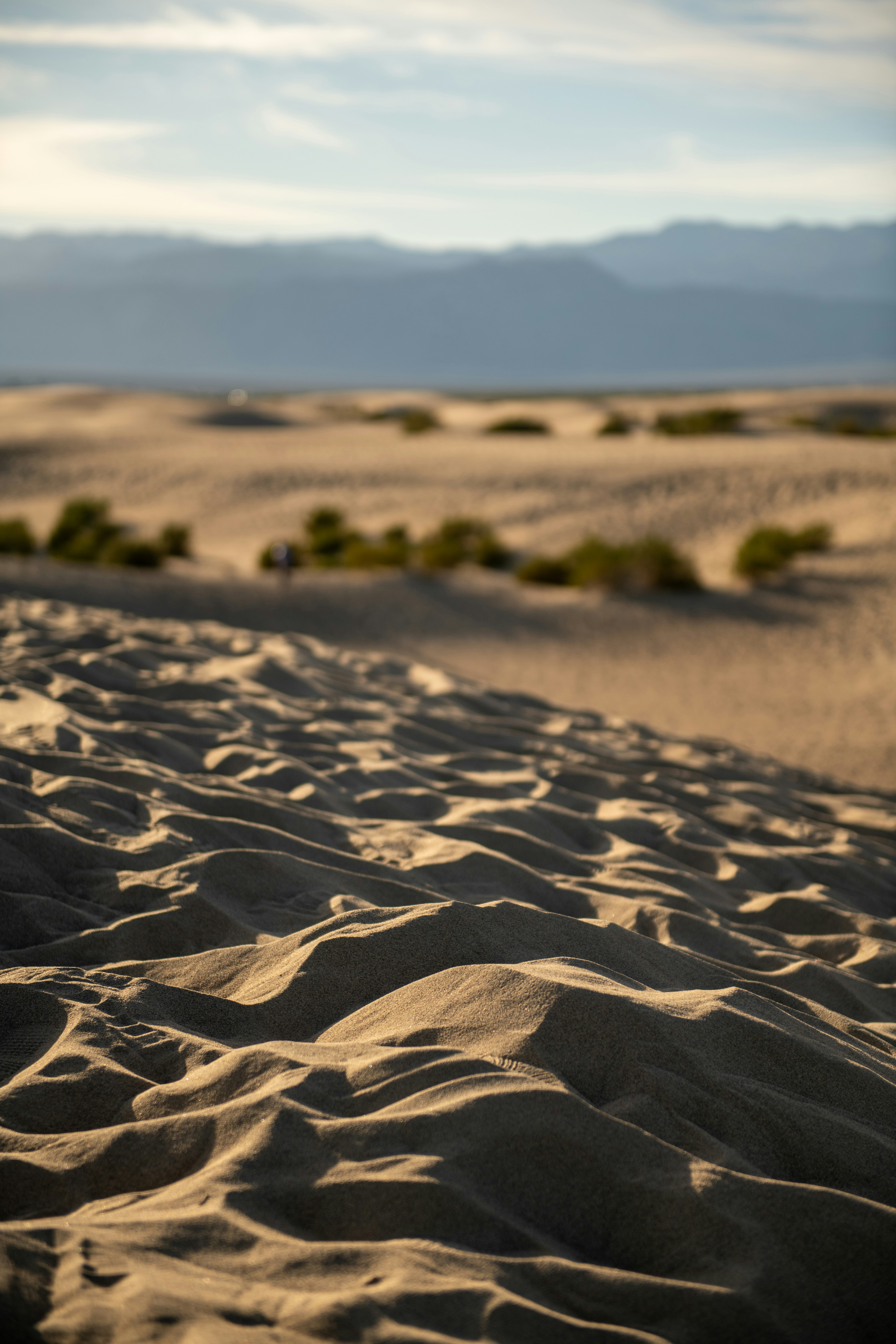 Wind-Kissed Desert: Dunes in Quiet Light