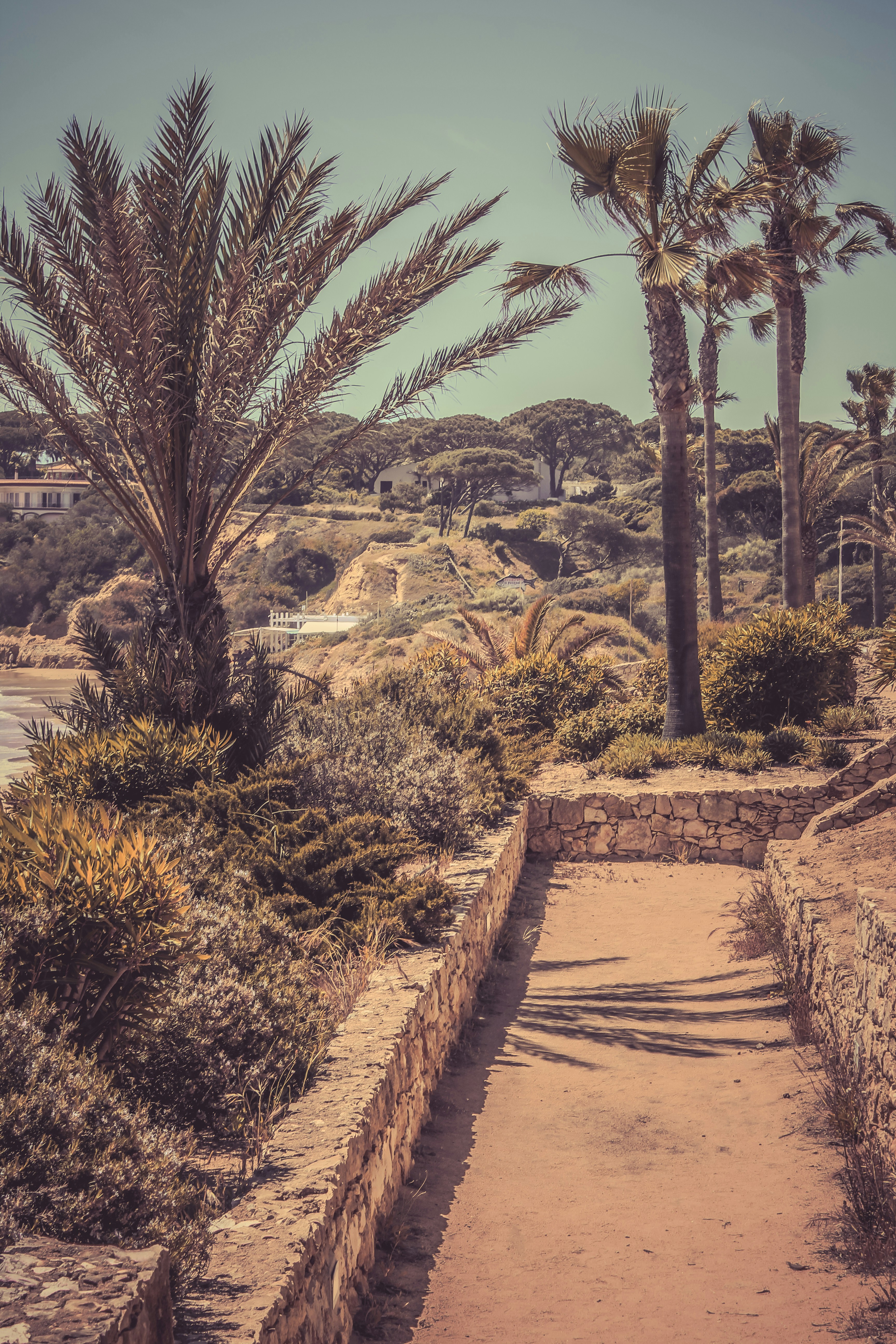 A sandy path lined with stone walls and palm trees.