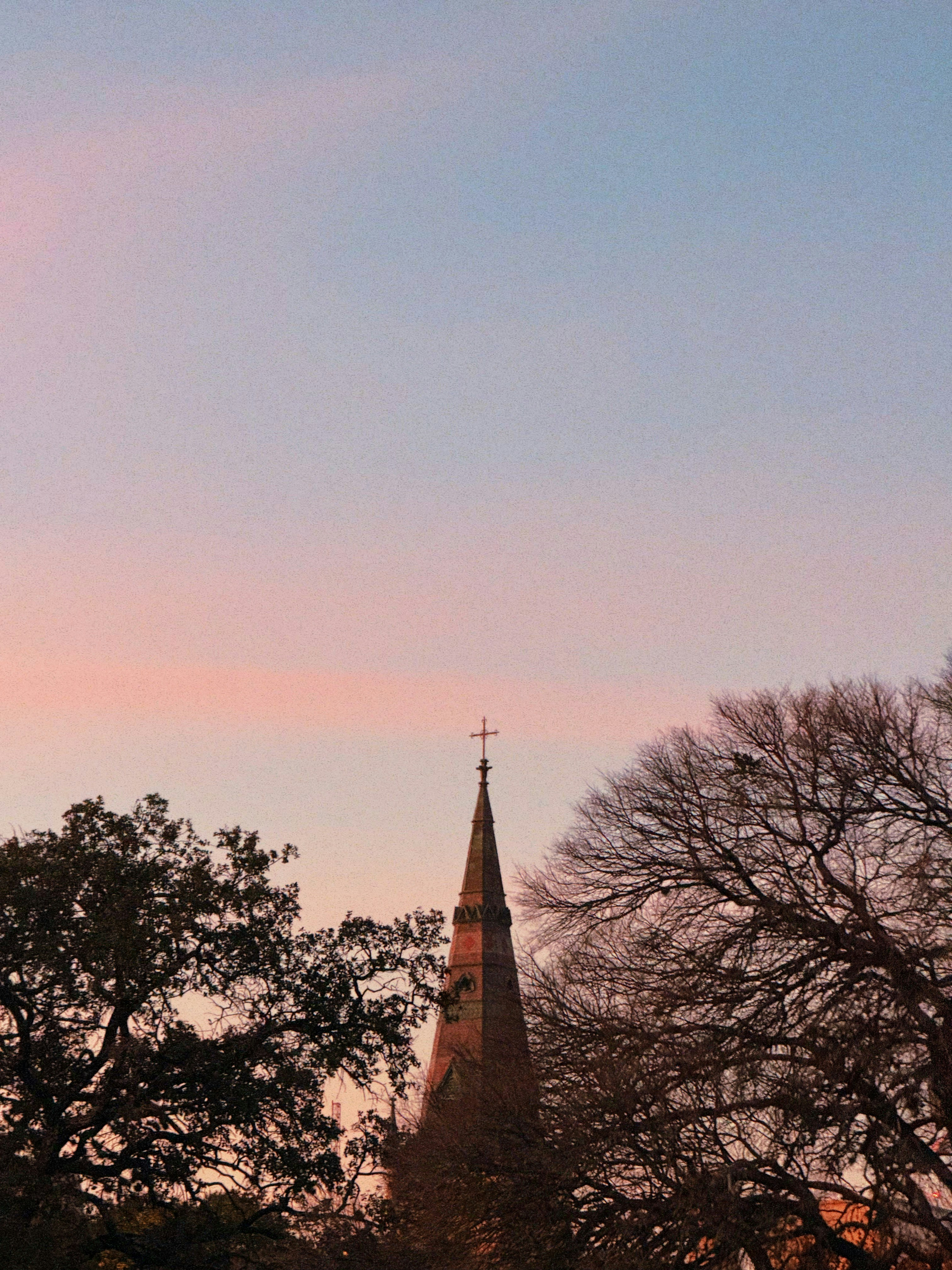 Sunset-touched spire piercing a silhouetted canopy