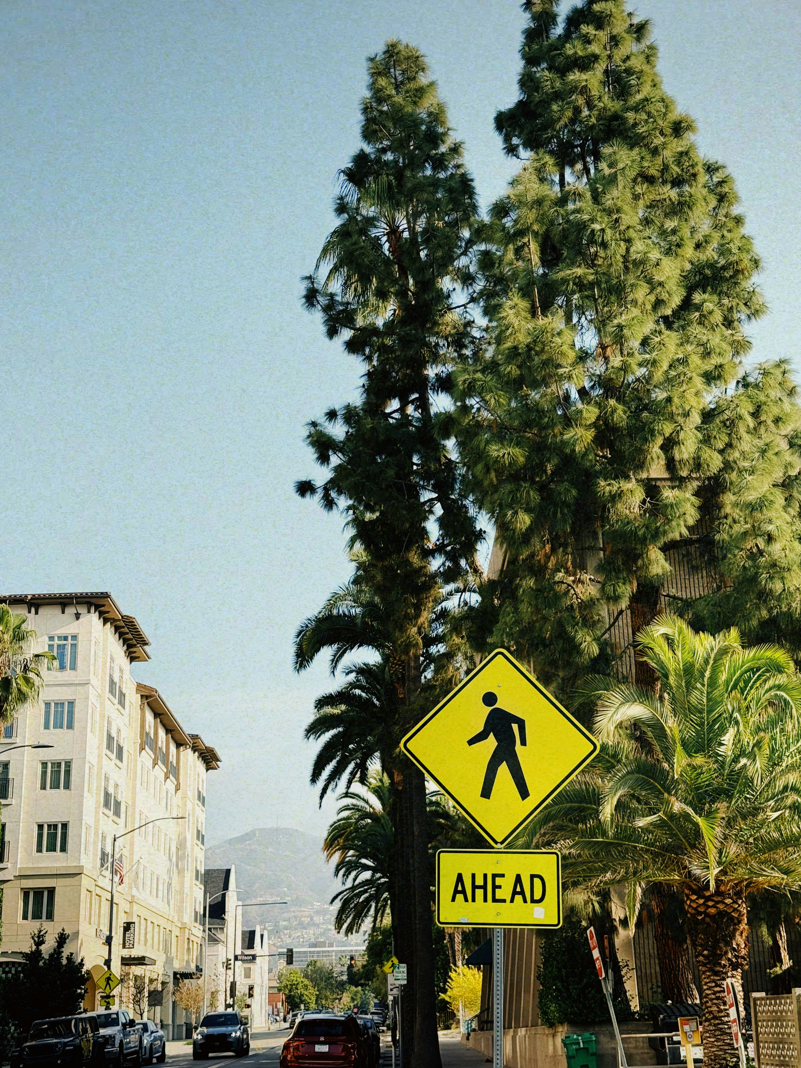 Pedestrian Crossing Ahead: Urban Street Scene with Signage and Tall Trees