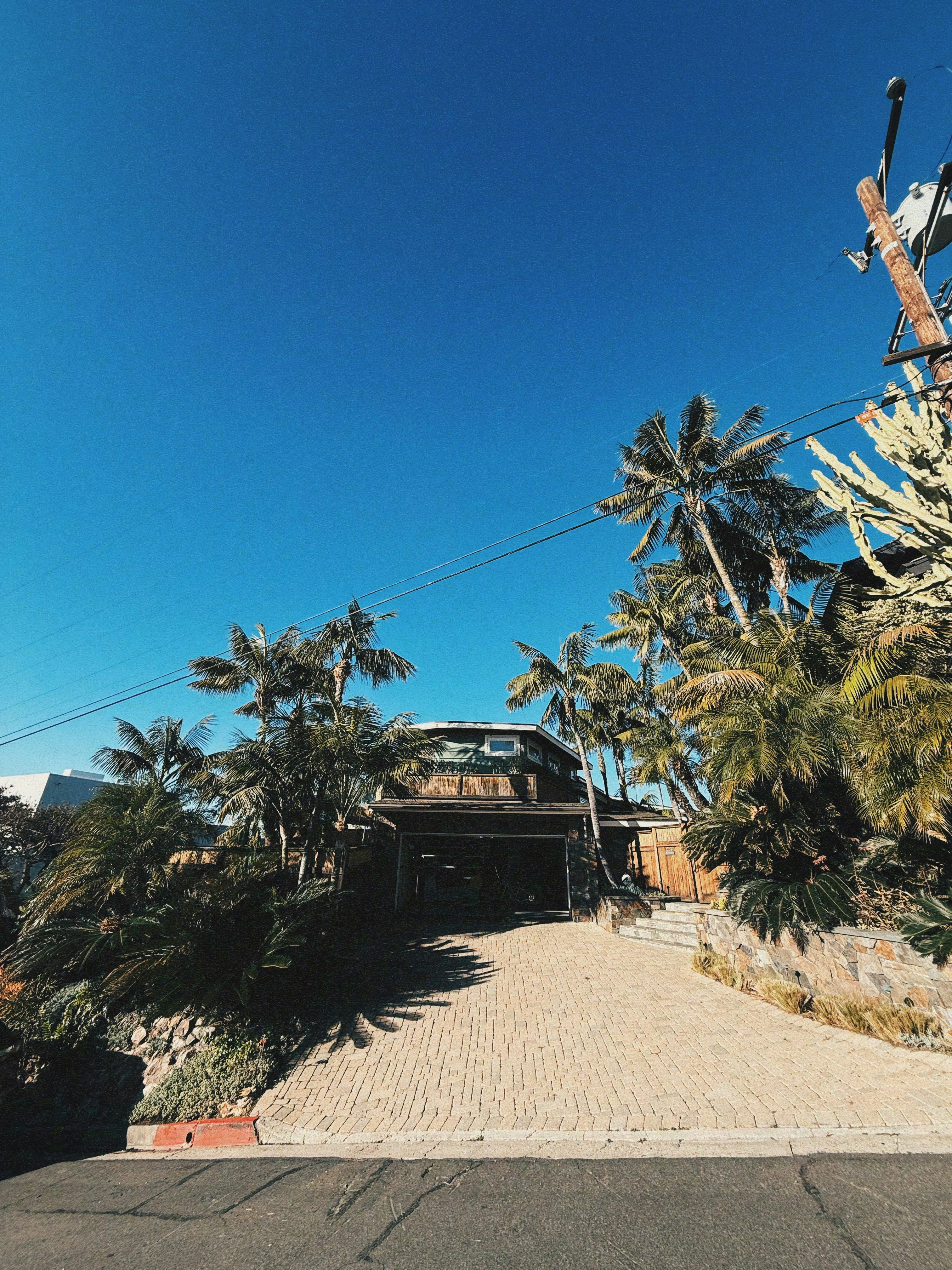 Sunlit Driveway to a Tropical Residence