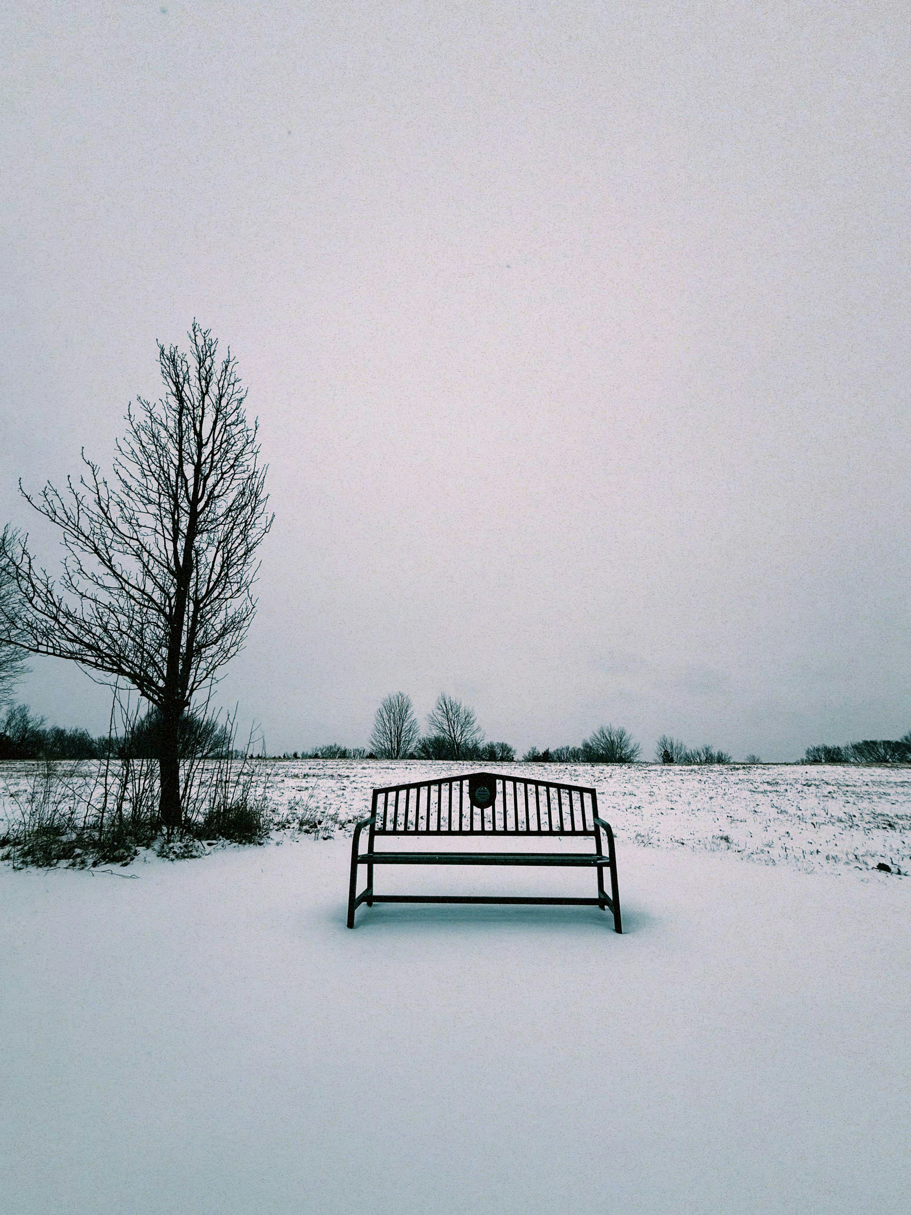 Frozen Stillness: A Park Bench in Snow at Dusk