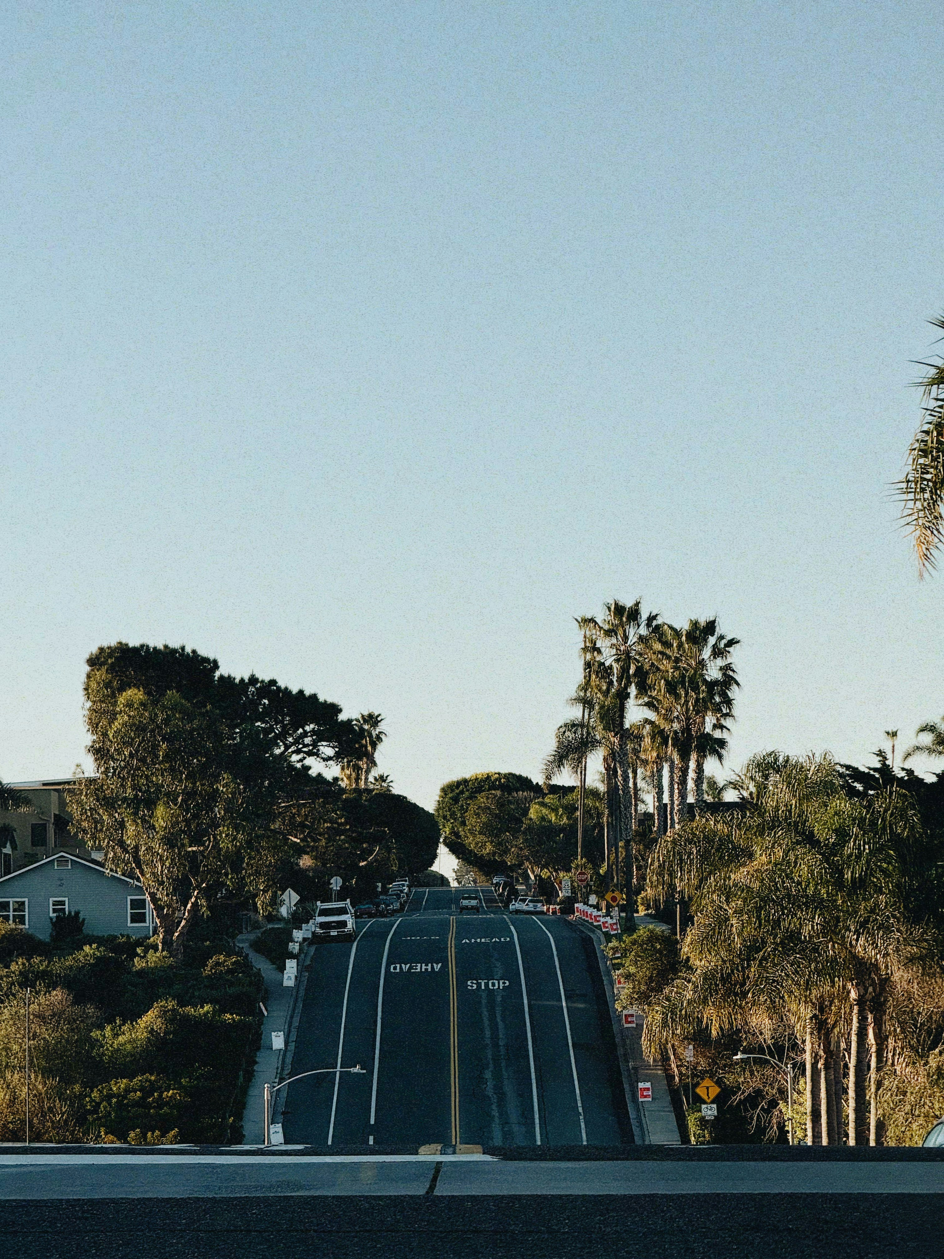 Sunlit Palm Boulevard: A Quiet Ascent Down the Hill