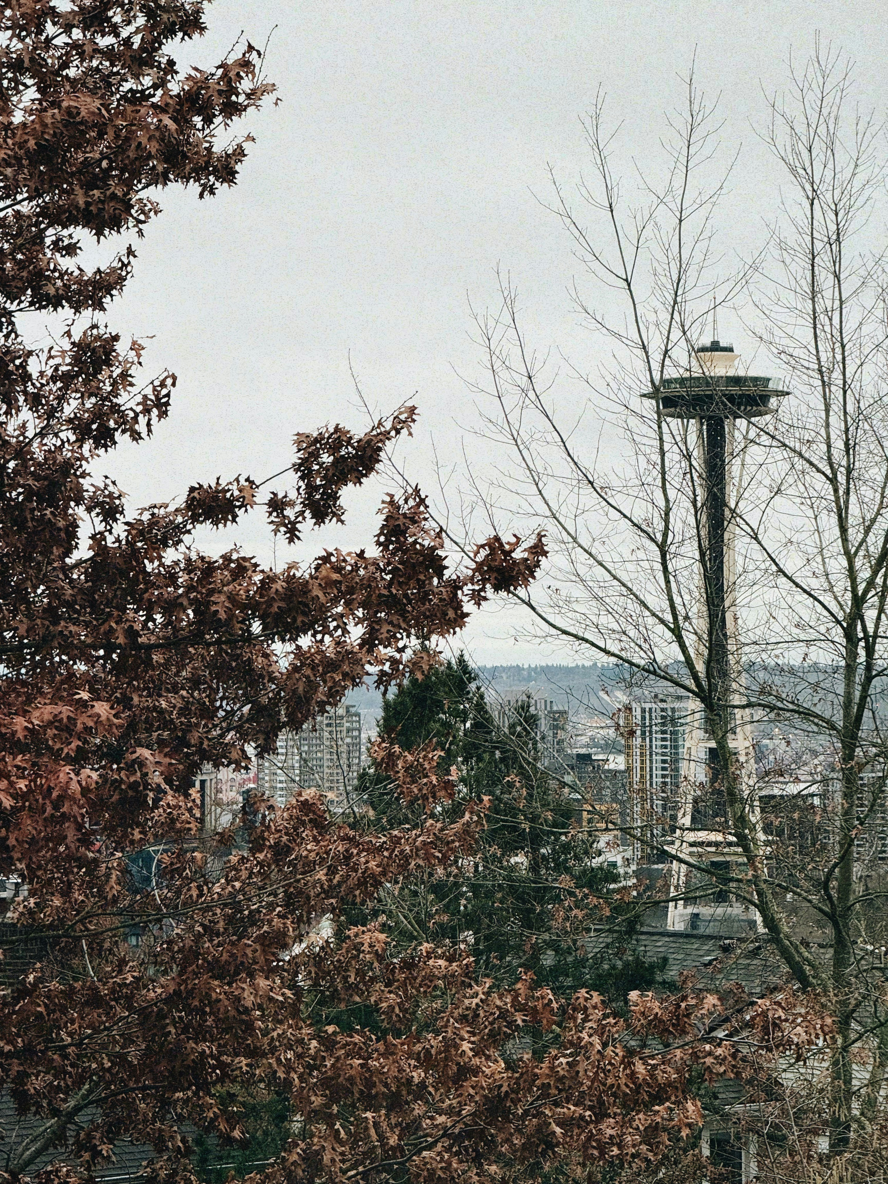 City Skyline Peeking Through Autumn Trees and a Tower