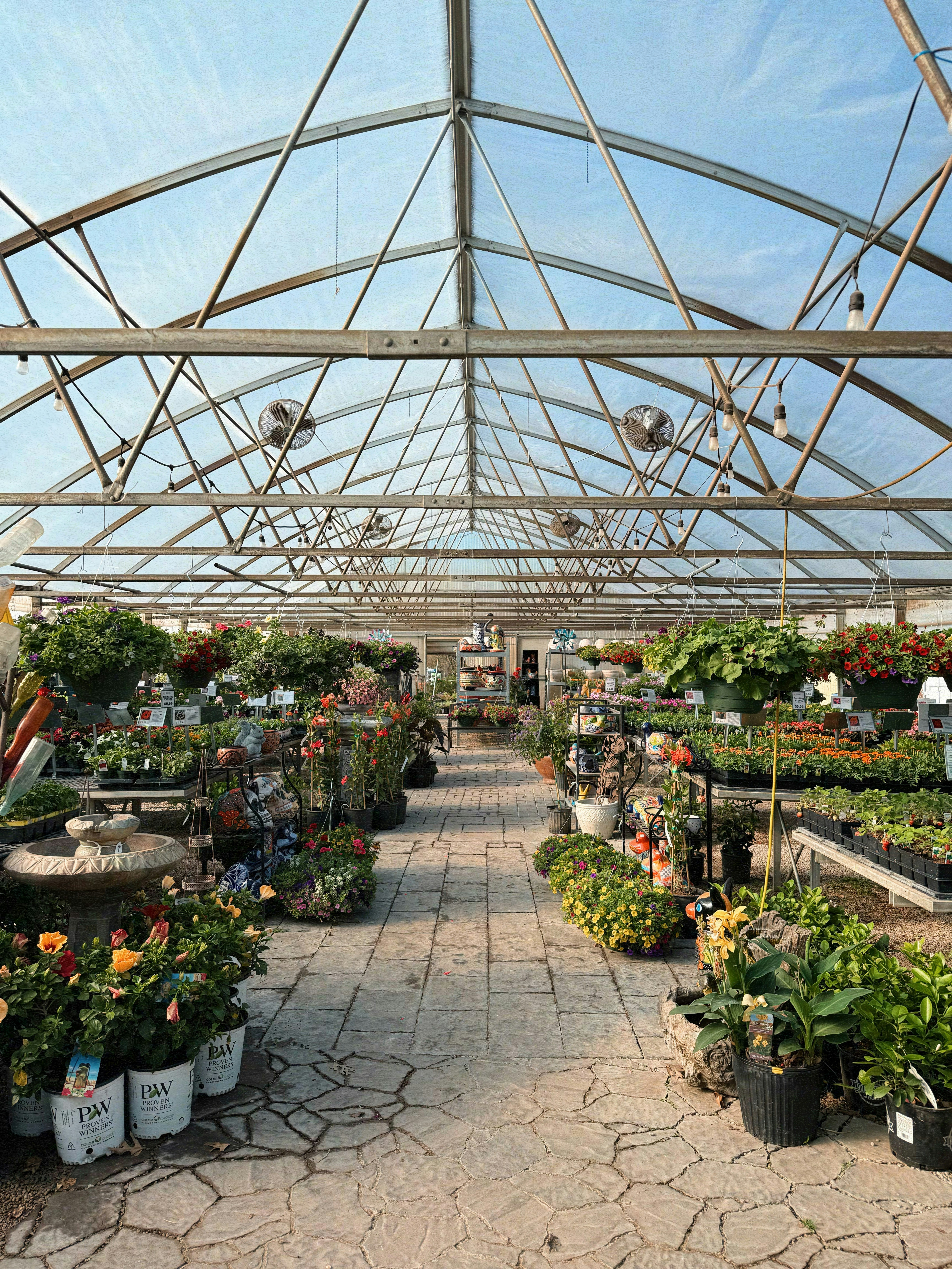 Greenhouse Aisle: A Corridor of Color and Calm