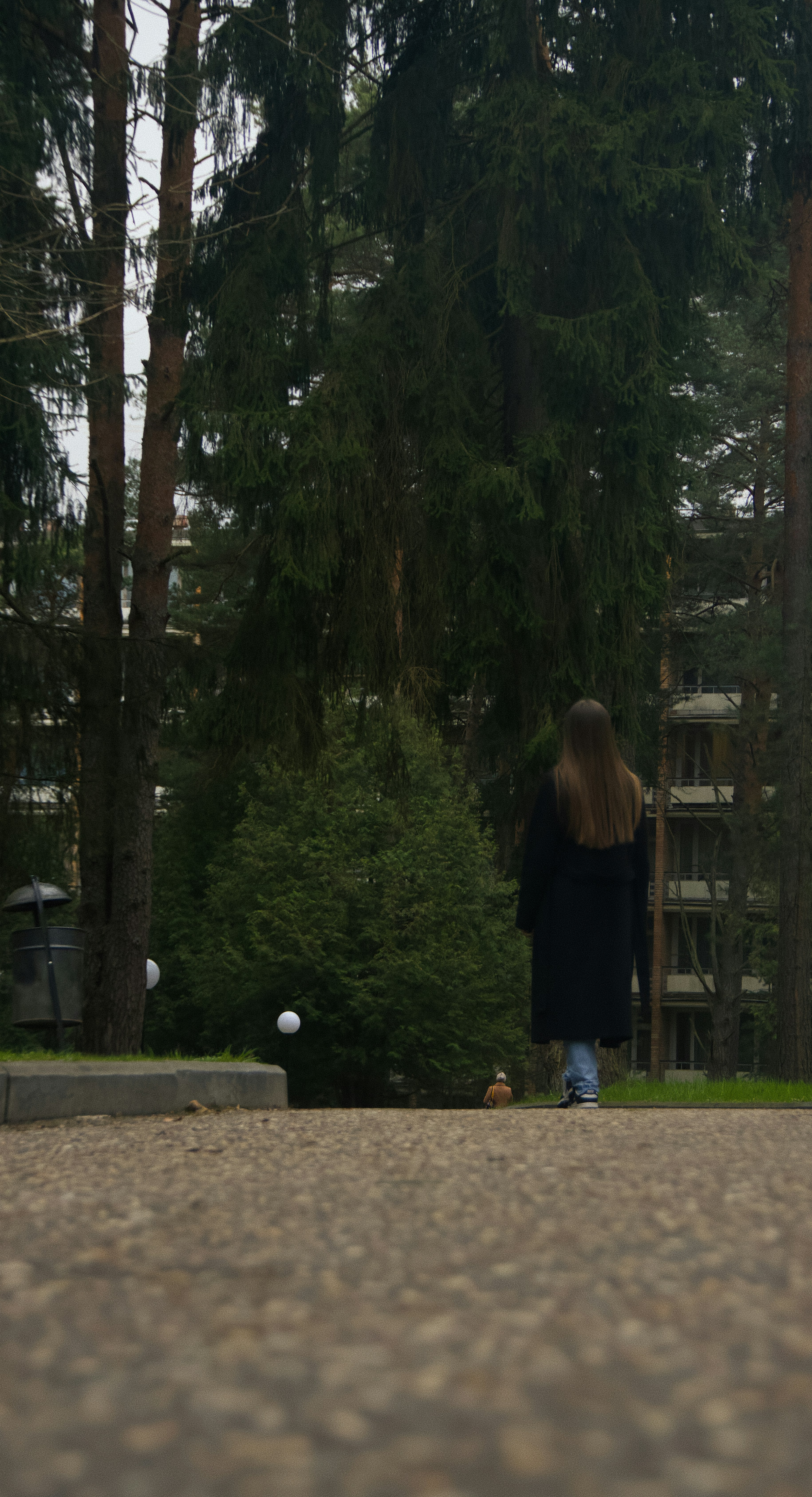 Pathway to the Backlit Quiet: A Figure in the Park