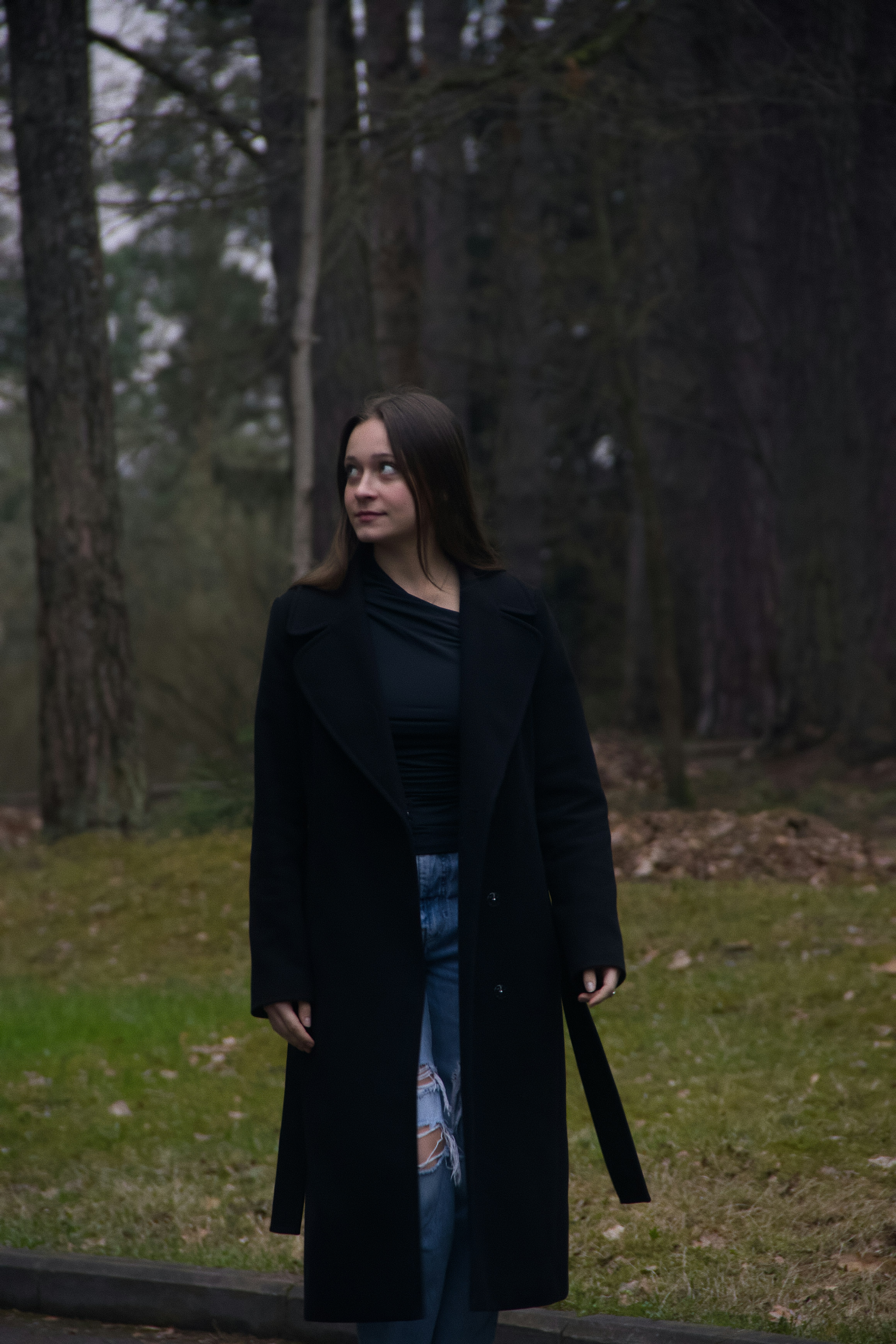 Midforest Portrait in Subdued Evening Light