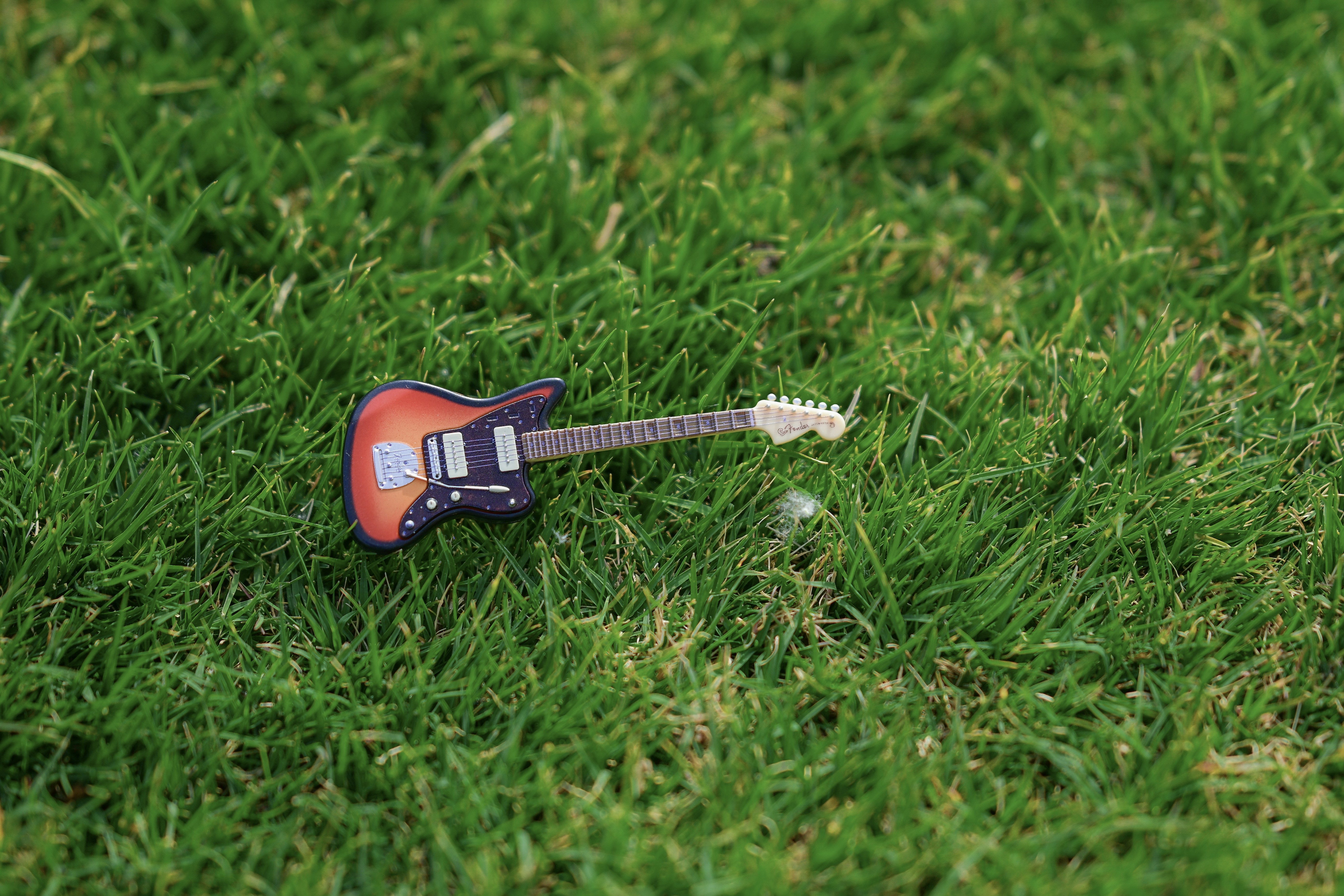 Mini Fender in a Sea of Green: A Guitar Lost in the Grass