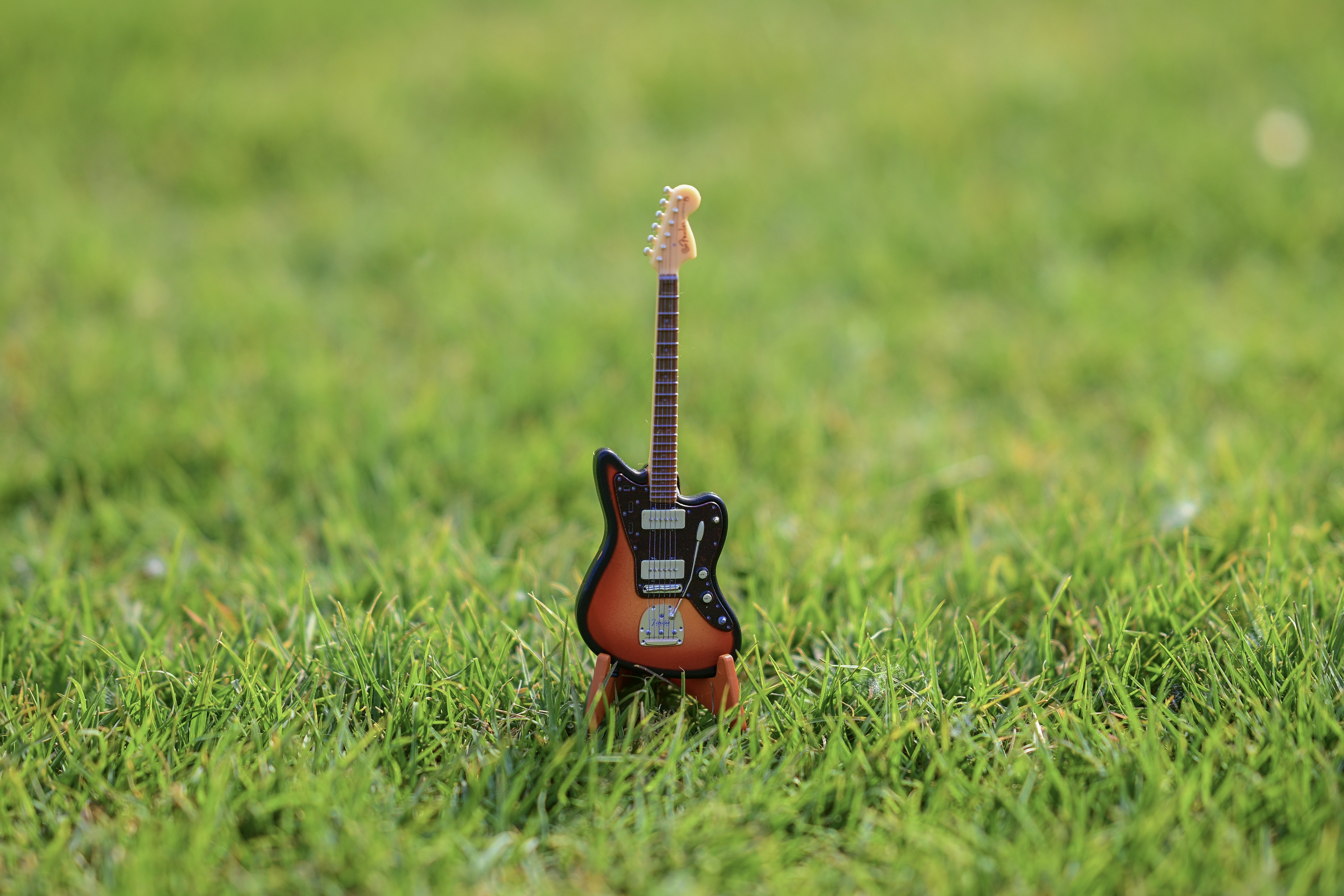 Tiny Fender in the Grass: A Miniature Guitar Stands Proud