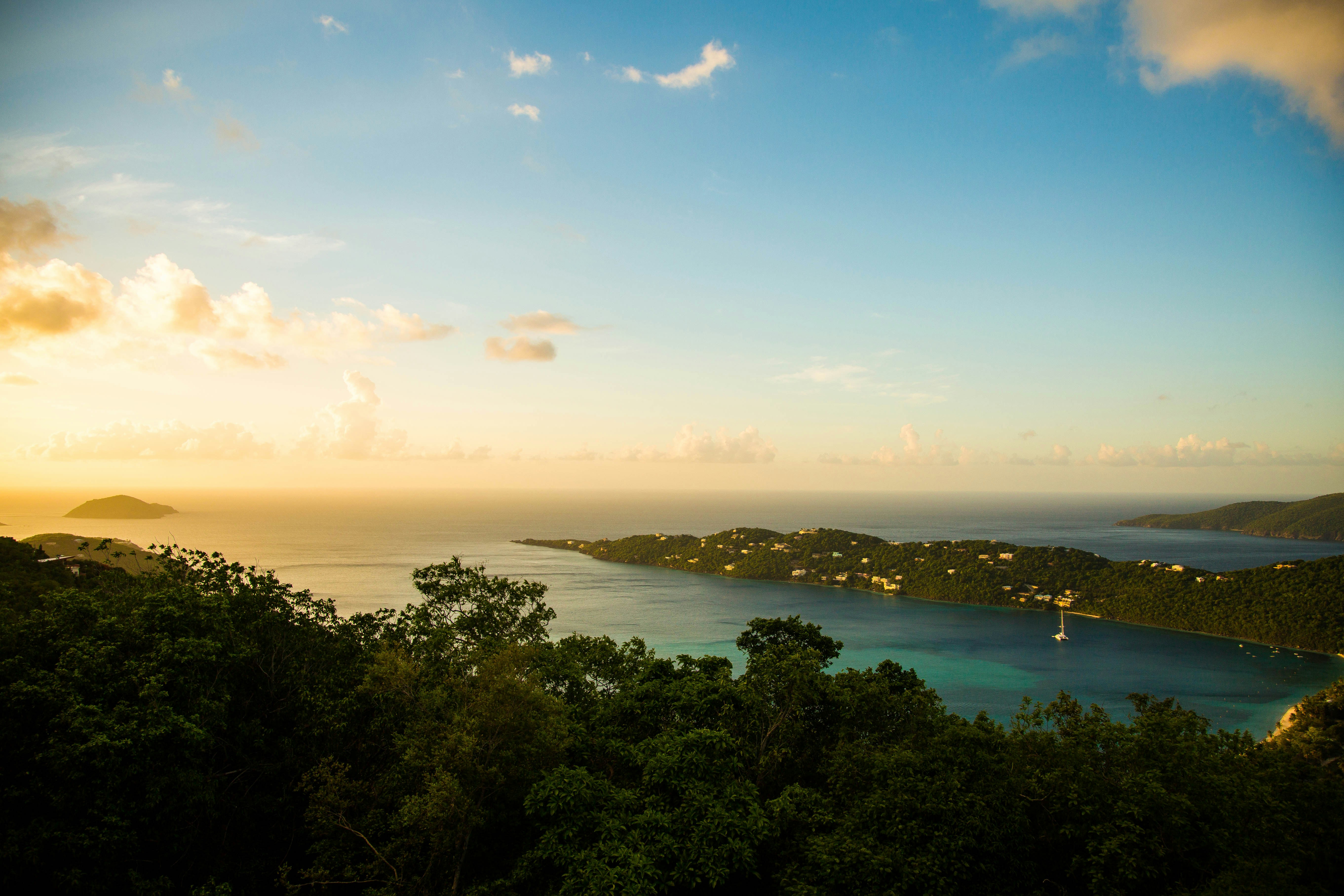 Sunlit Gulf at Dusk: A Quiet Confluence of Sea and Forest