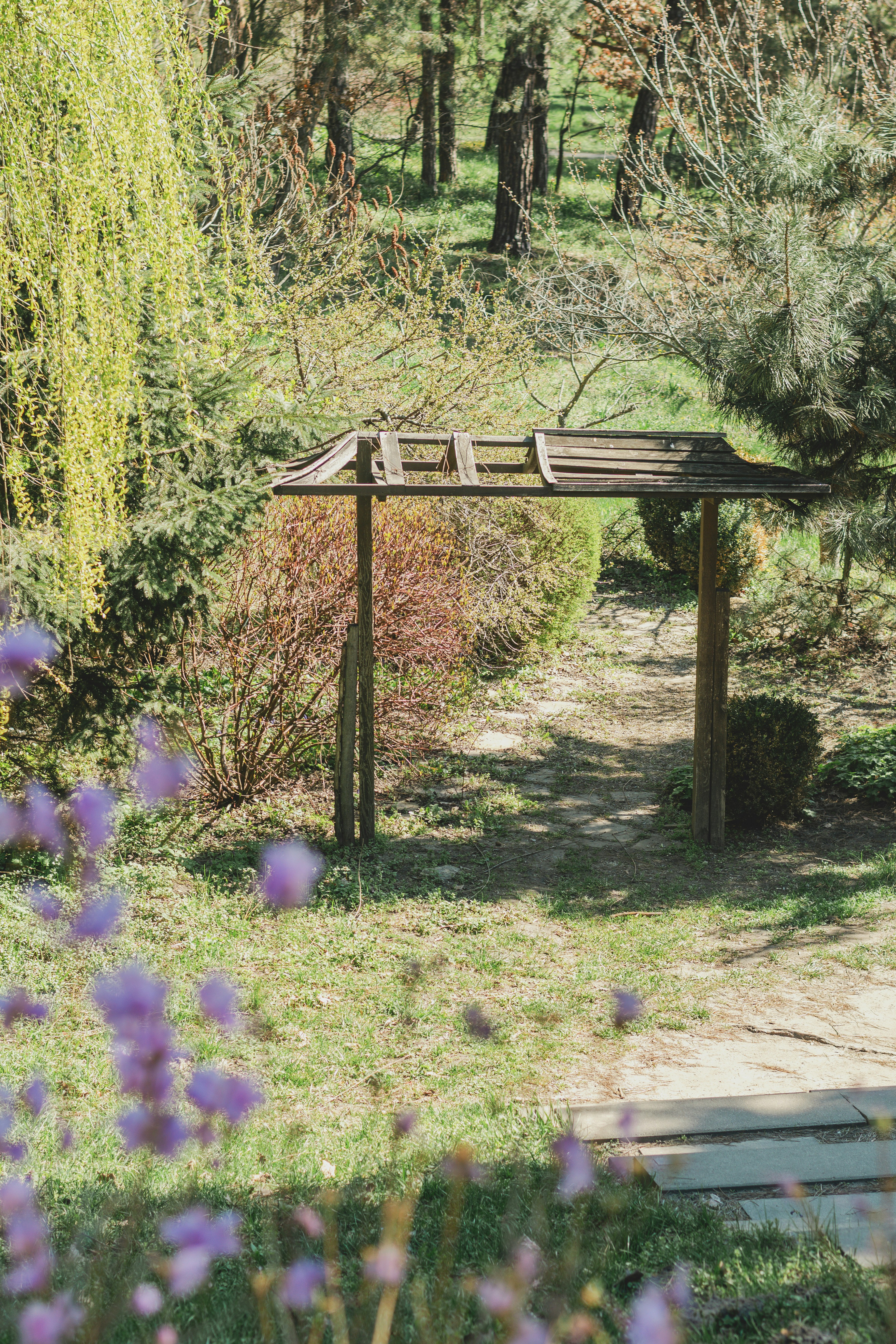 Sunlit Garden Gateway Under a Quiet Canopy