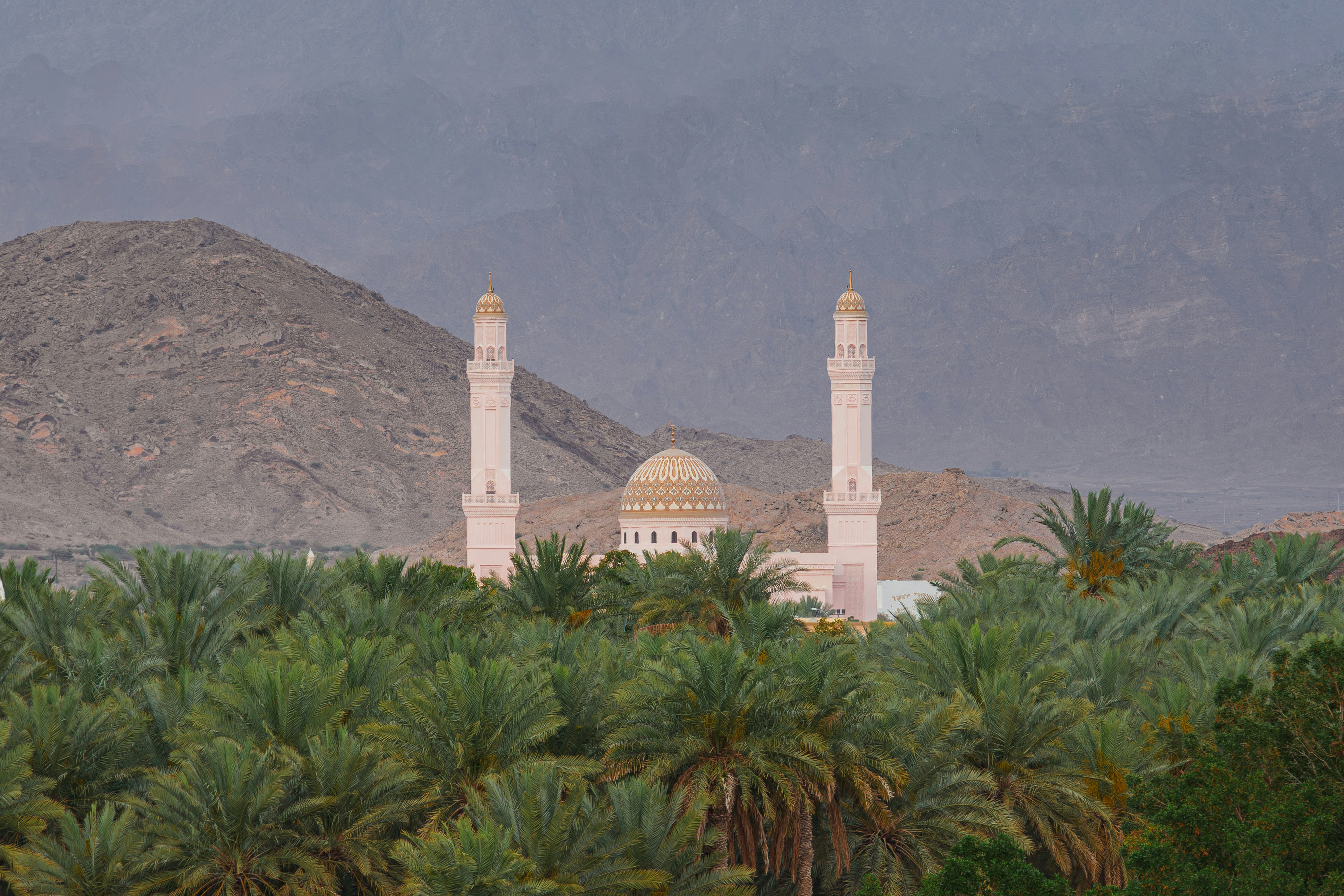 Oasis Minarets: A Dormant Desert Cathedral Rising Above Palm Grove