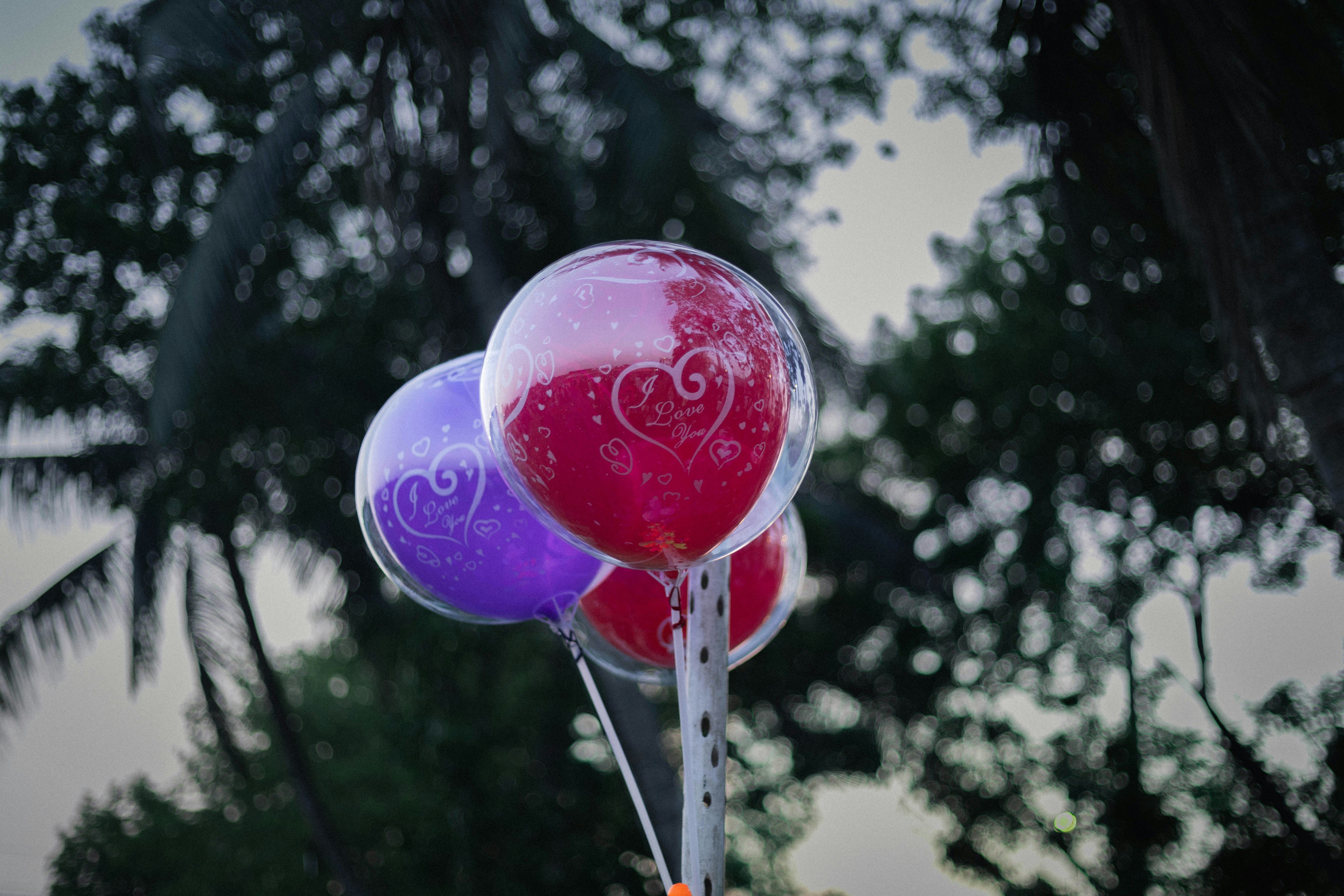 Balloon Bouquet at Dusk: A Quiet Celebration on a Silver Pole