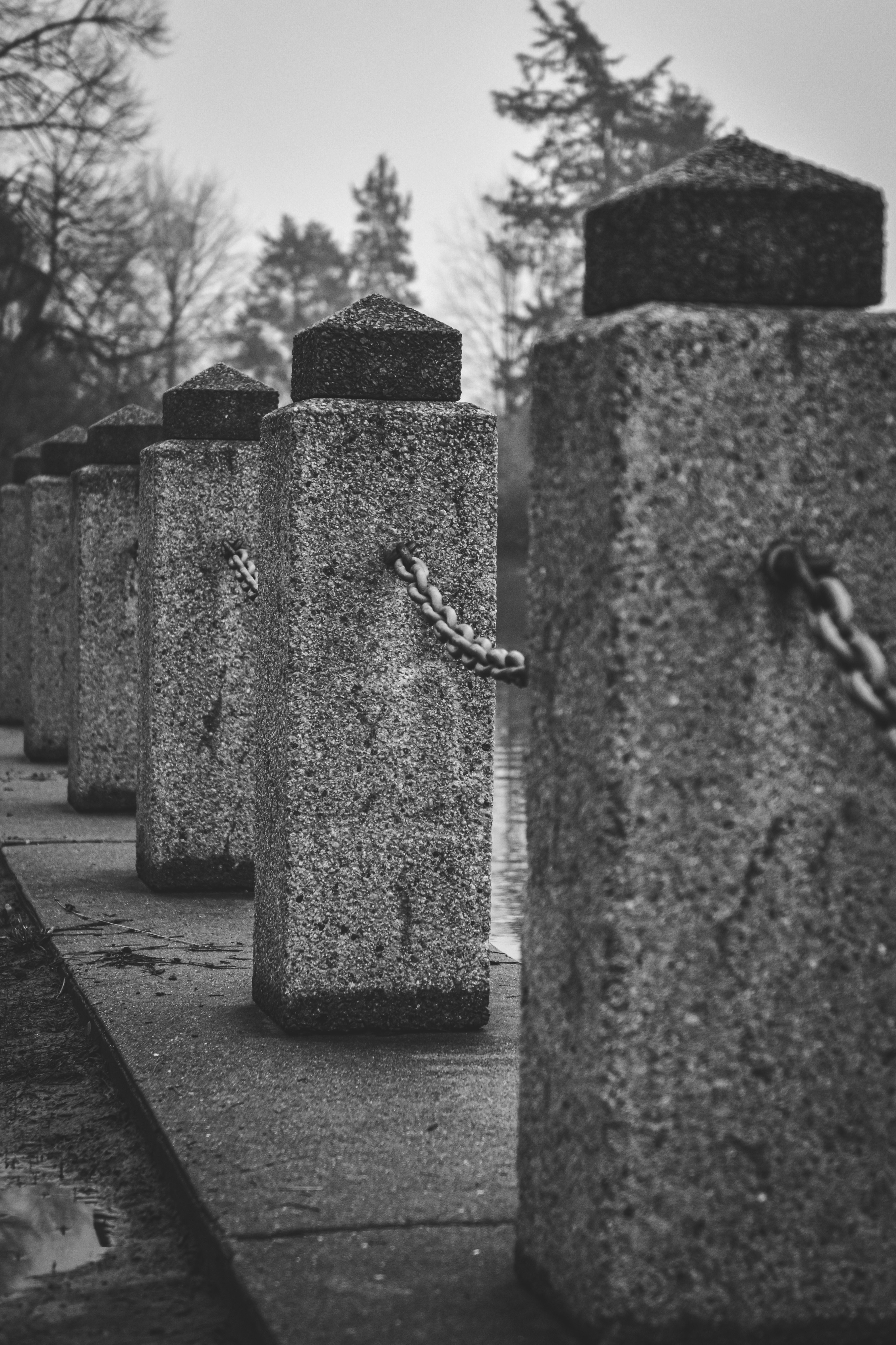 Lines of Memory: Weathered Pillars Along a Silent Path