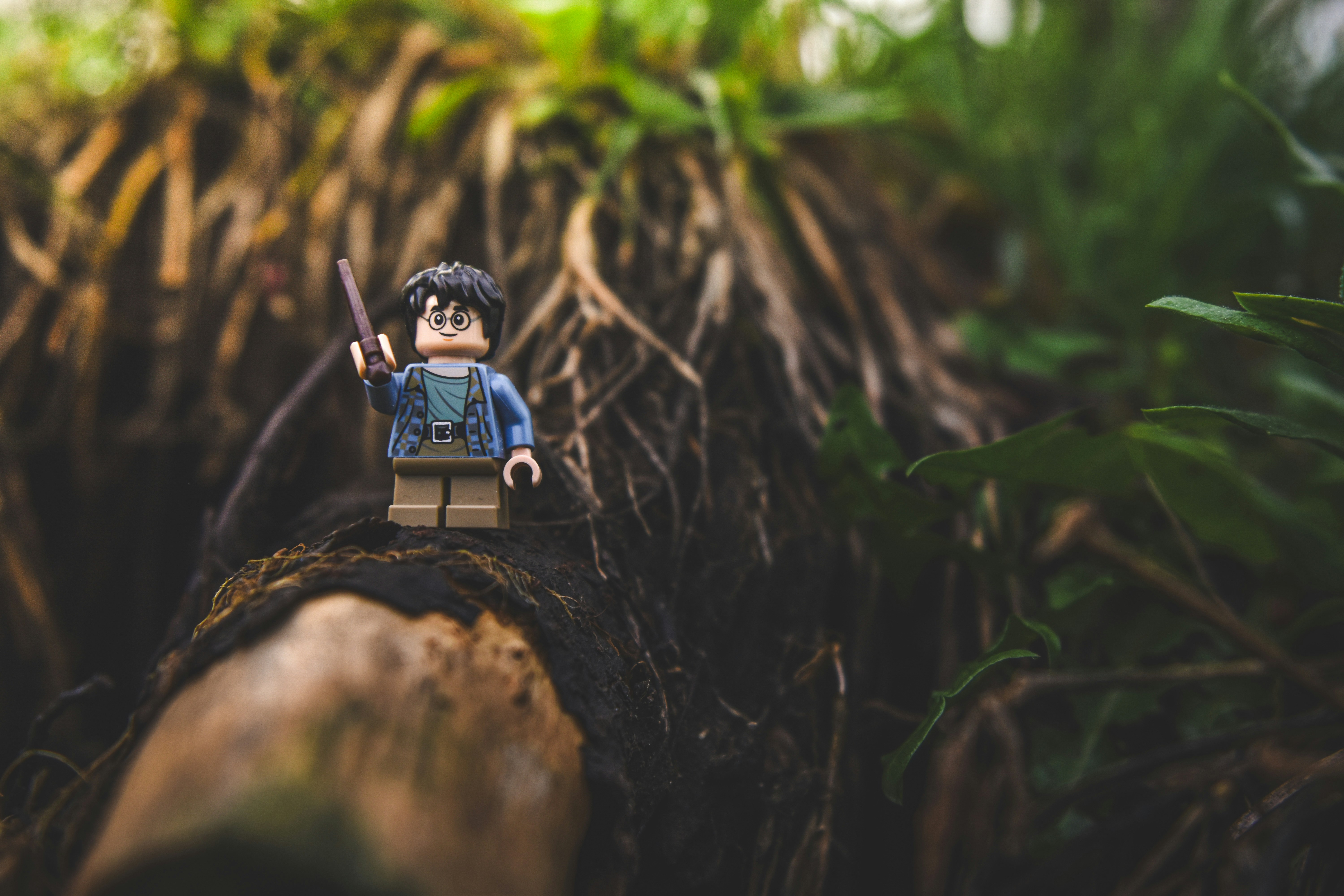 Lego Explorer at the Forest Edge