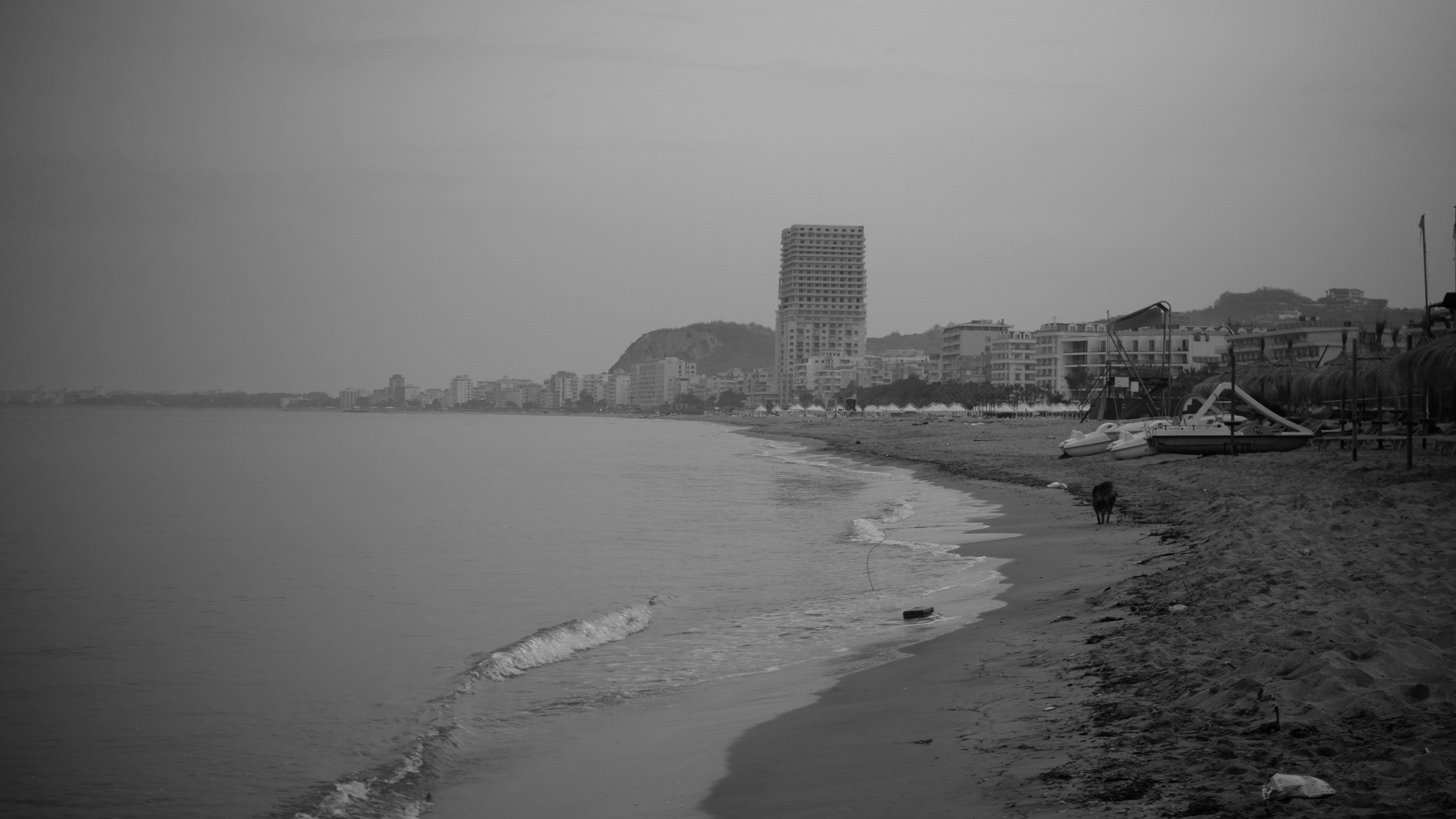 Coastal City Silhouette at Dusk