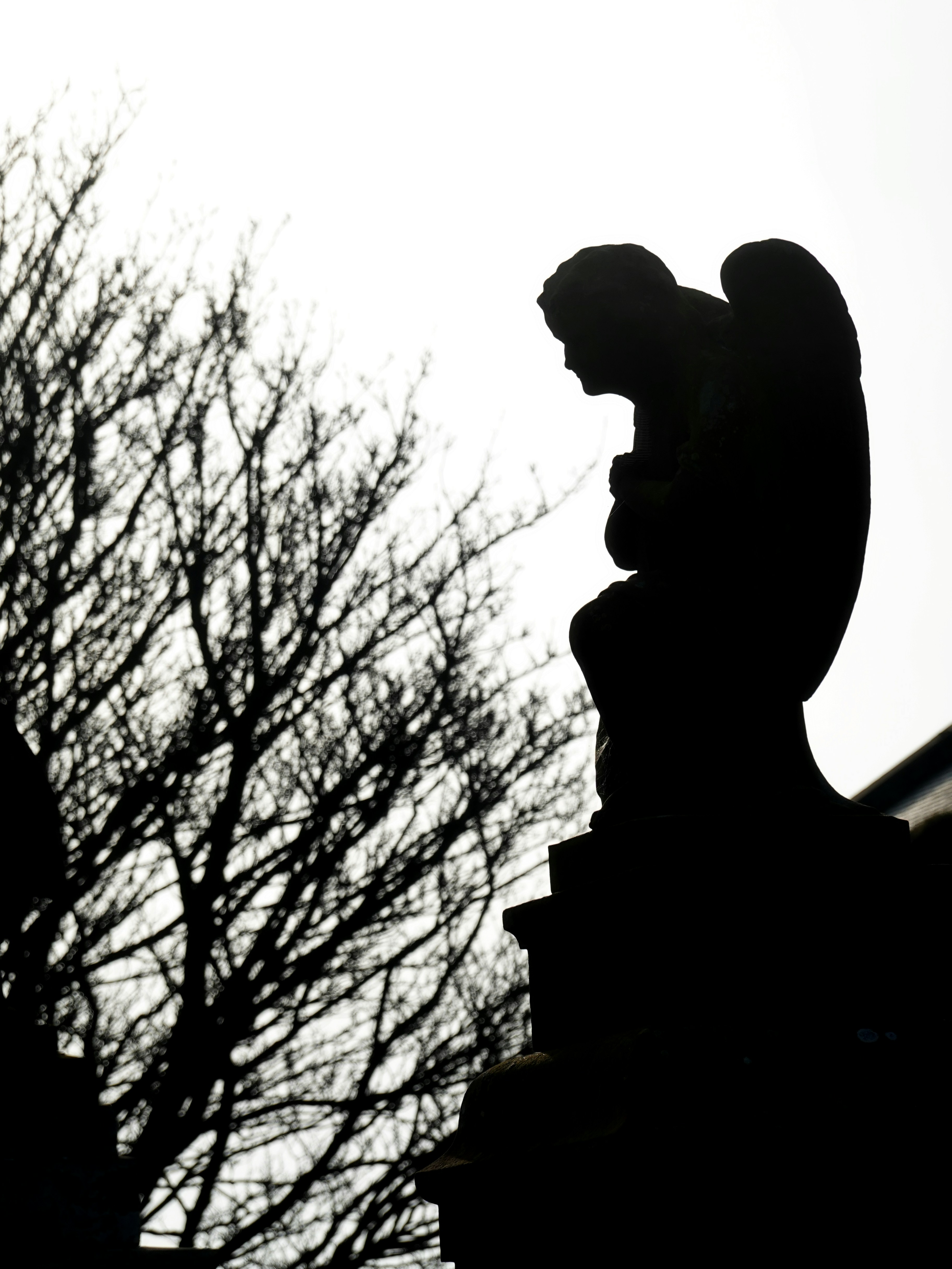 Silhouette of a guardian angel overlooking a bare-branched night