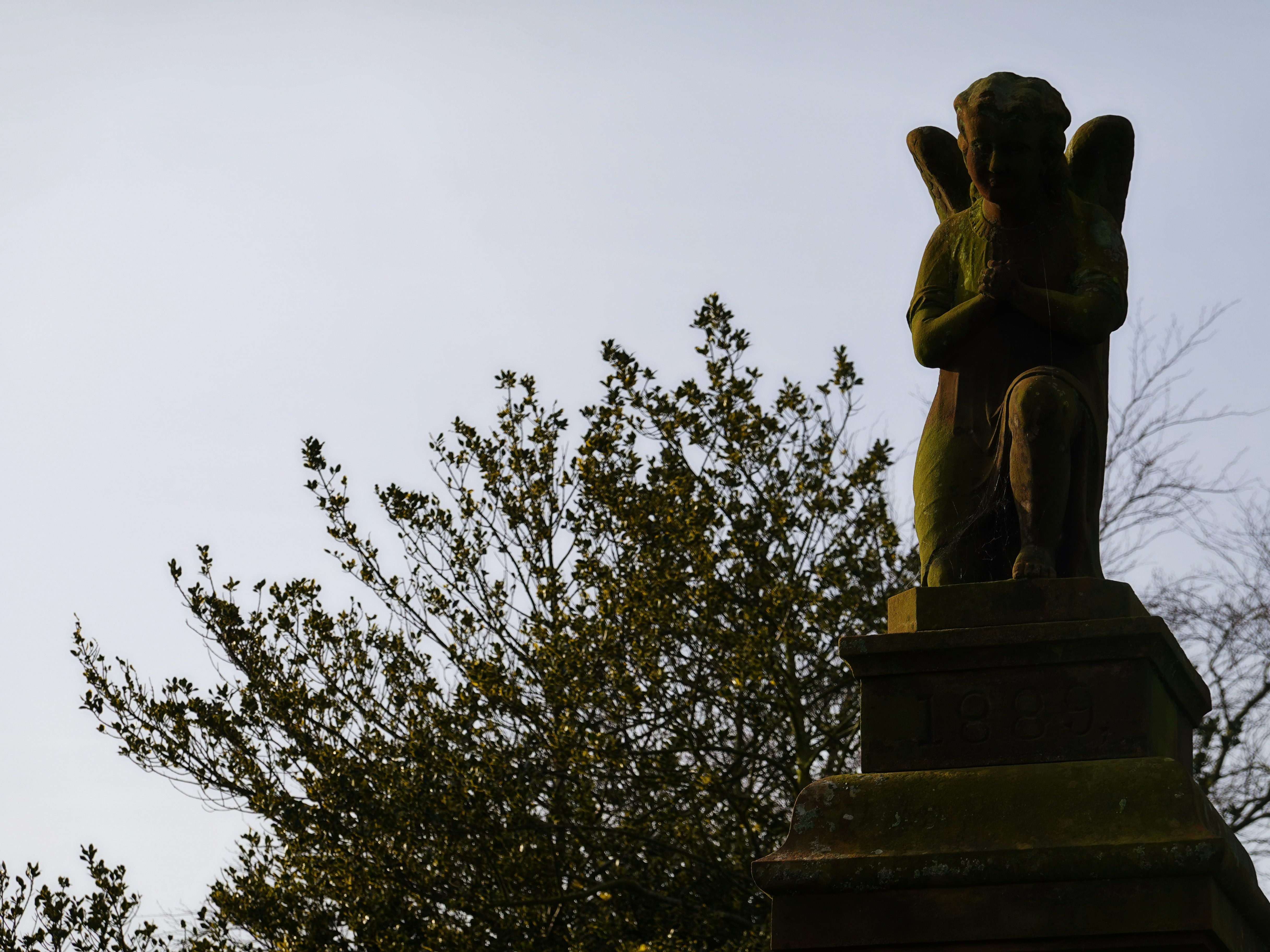 Silent Sentinel: A Stone Angel Overlooking a Leafy Terrace