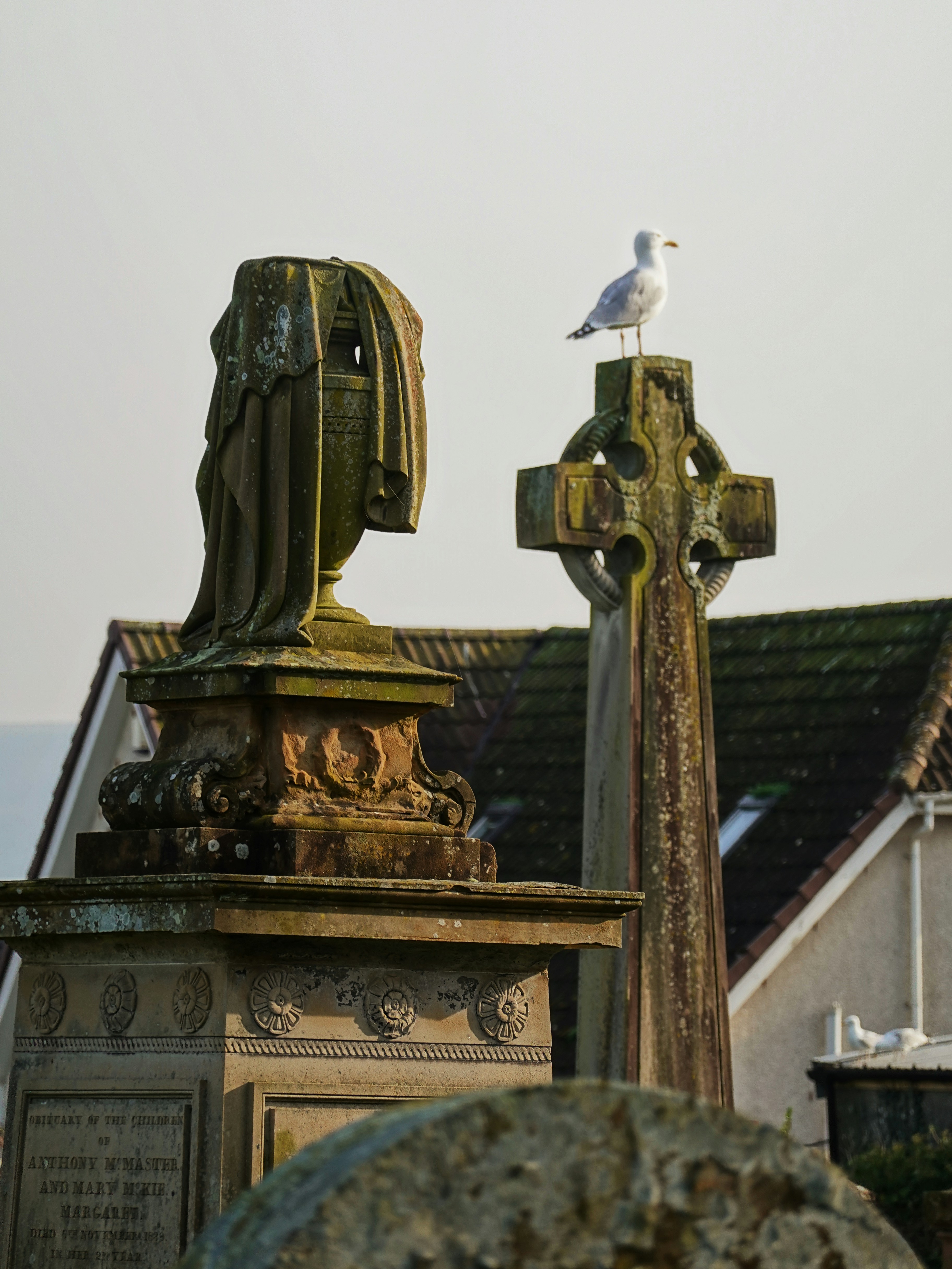 Sony RX100 VII Sample Shots