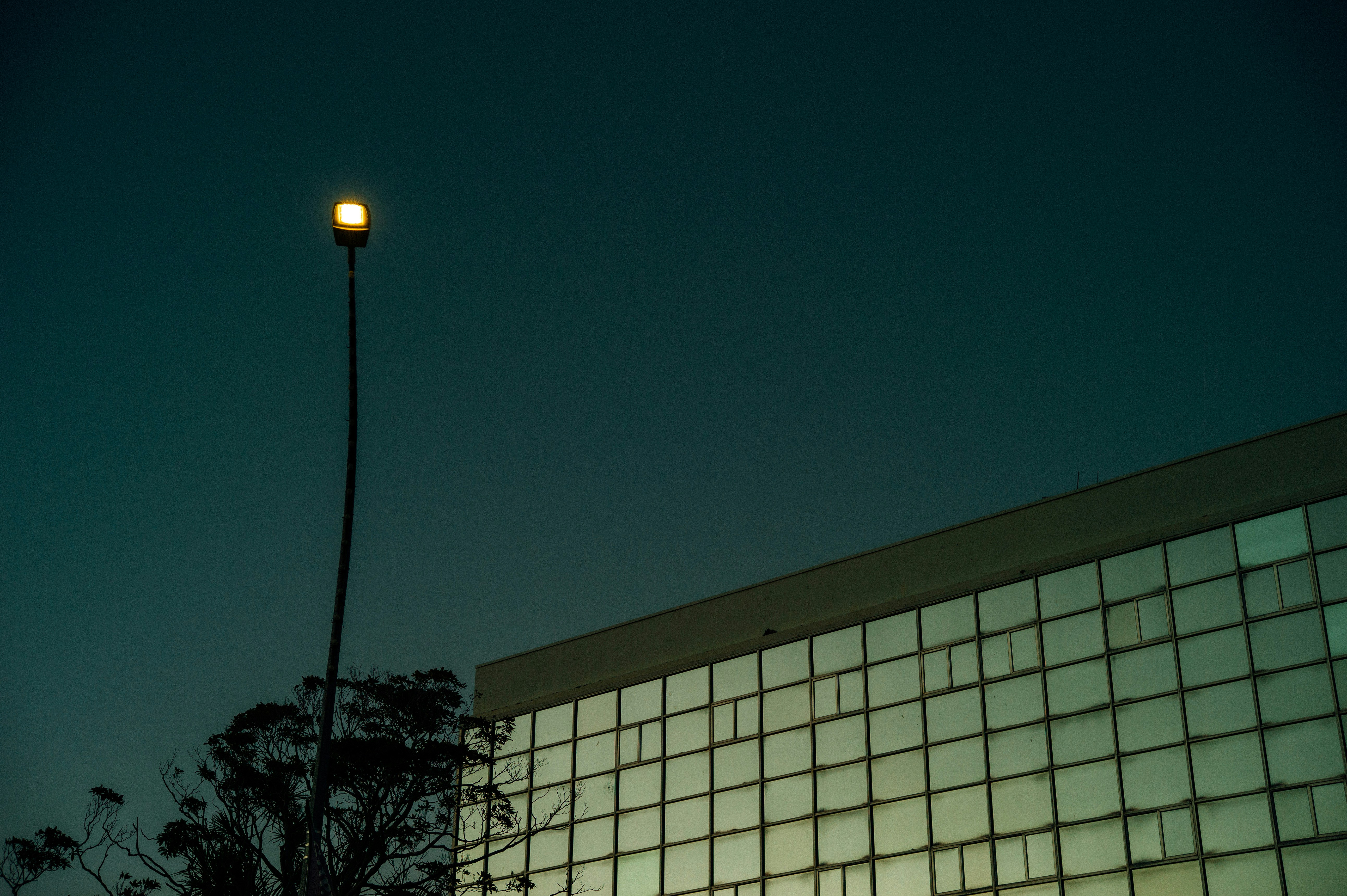 Evening Sentinel: A Lantern Over a Glassed Facade