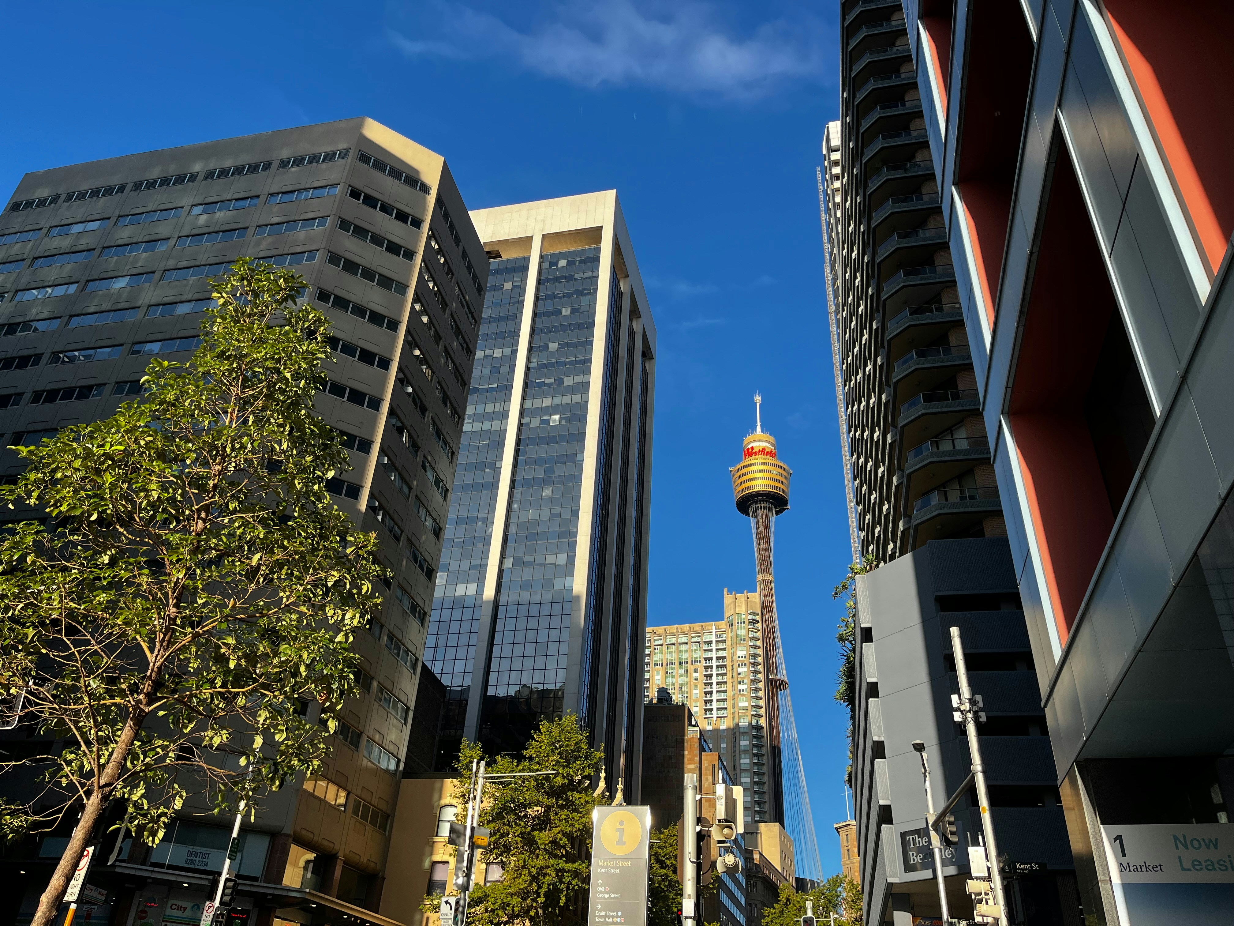 Urban Cathedral: A Towering Skyline Framed by Street Life