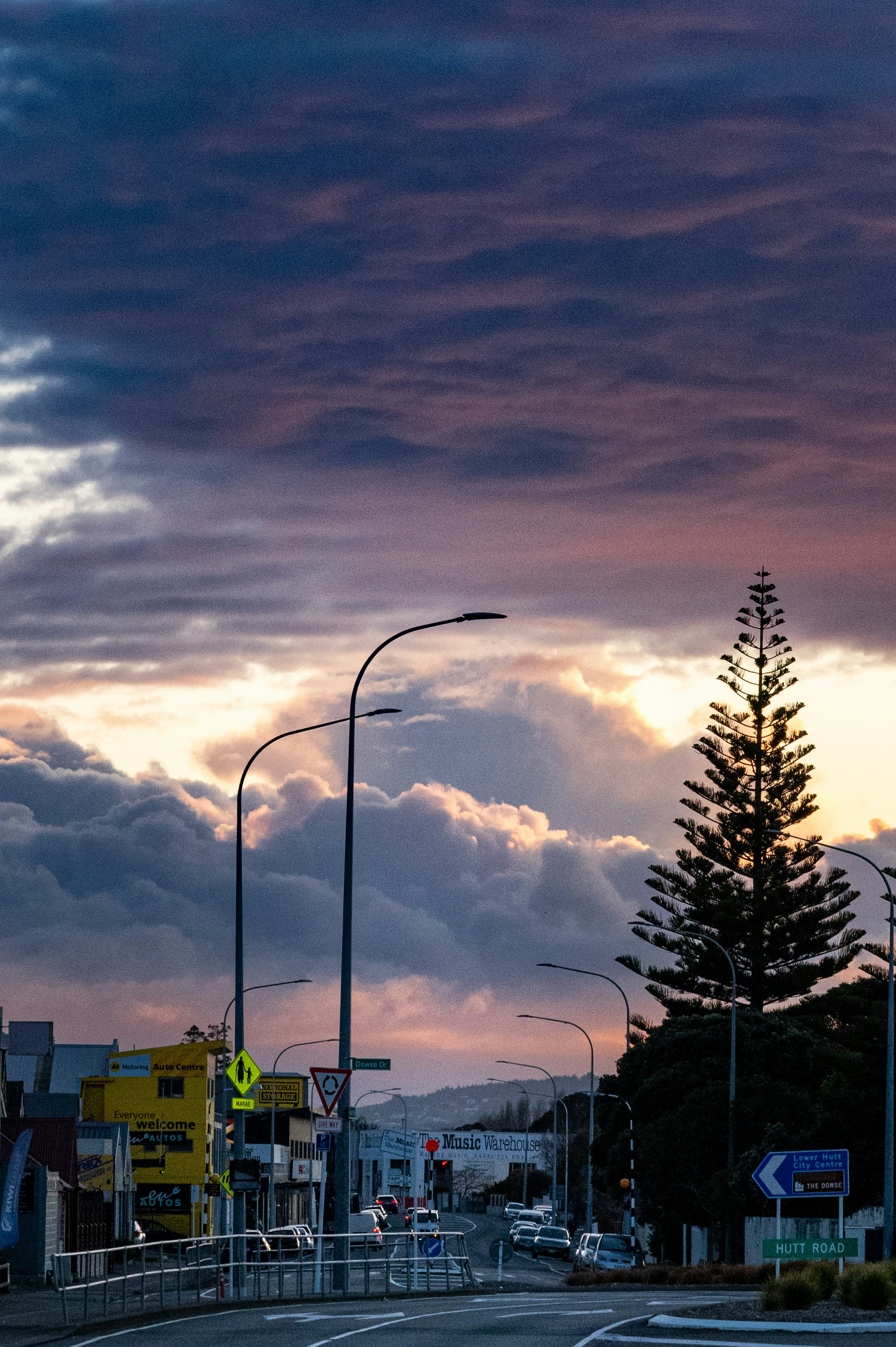 Streetlights Lead the Sunset Boulevard