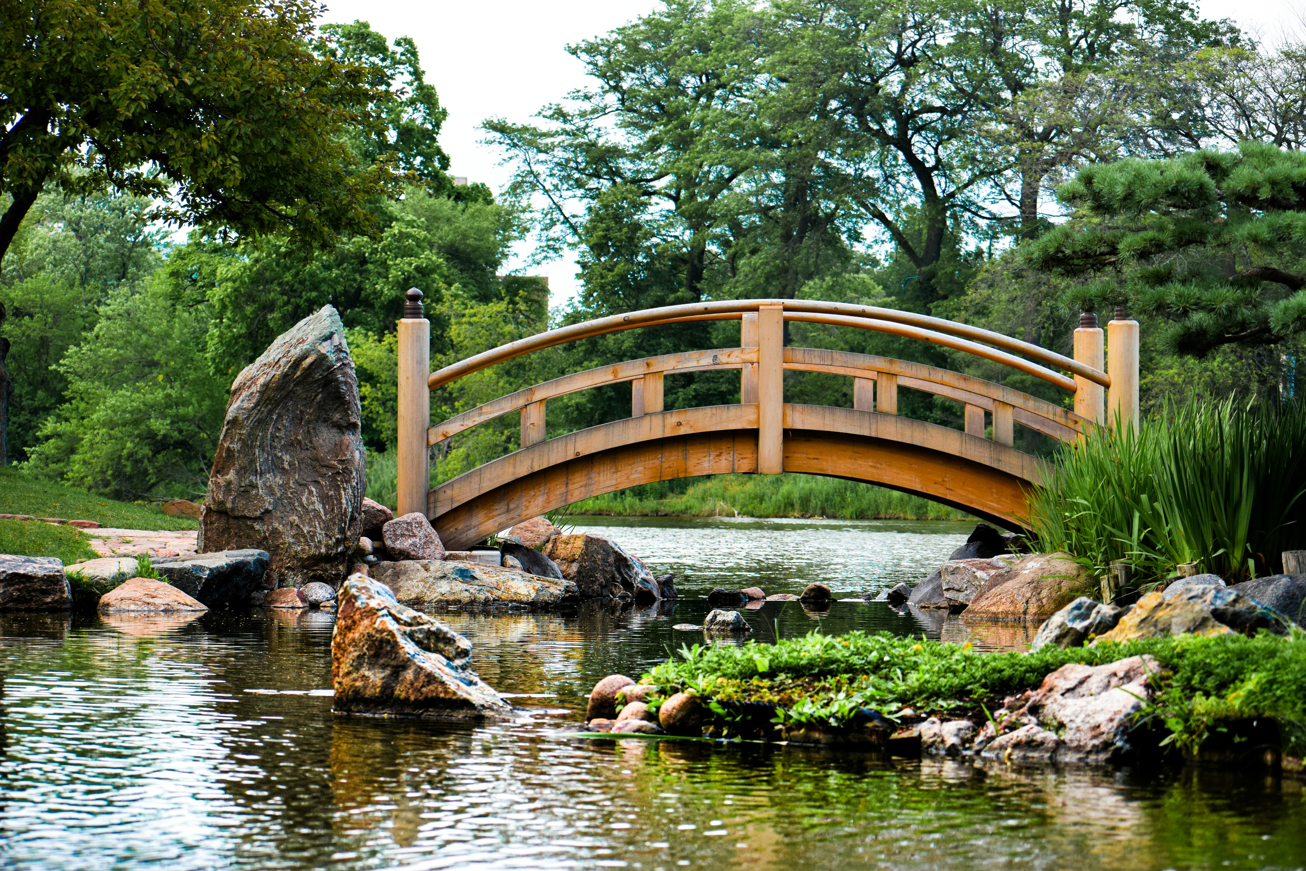 Bridge Over Quiet Water: A Tranquil Japanese-Influenced Garden Scene