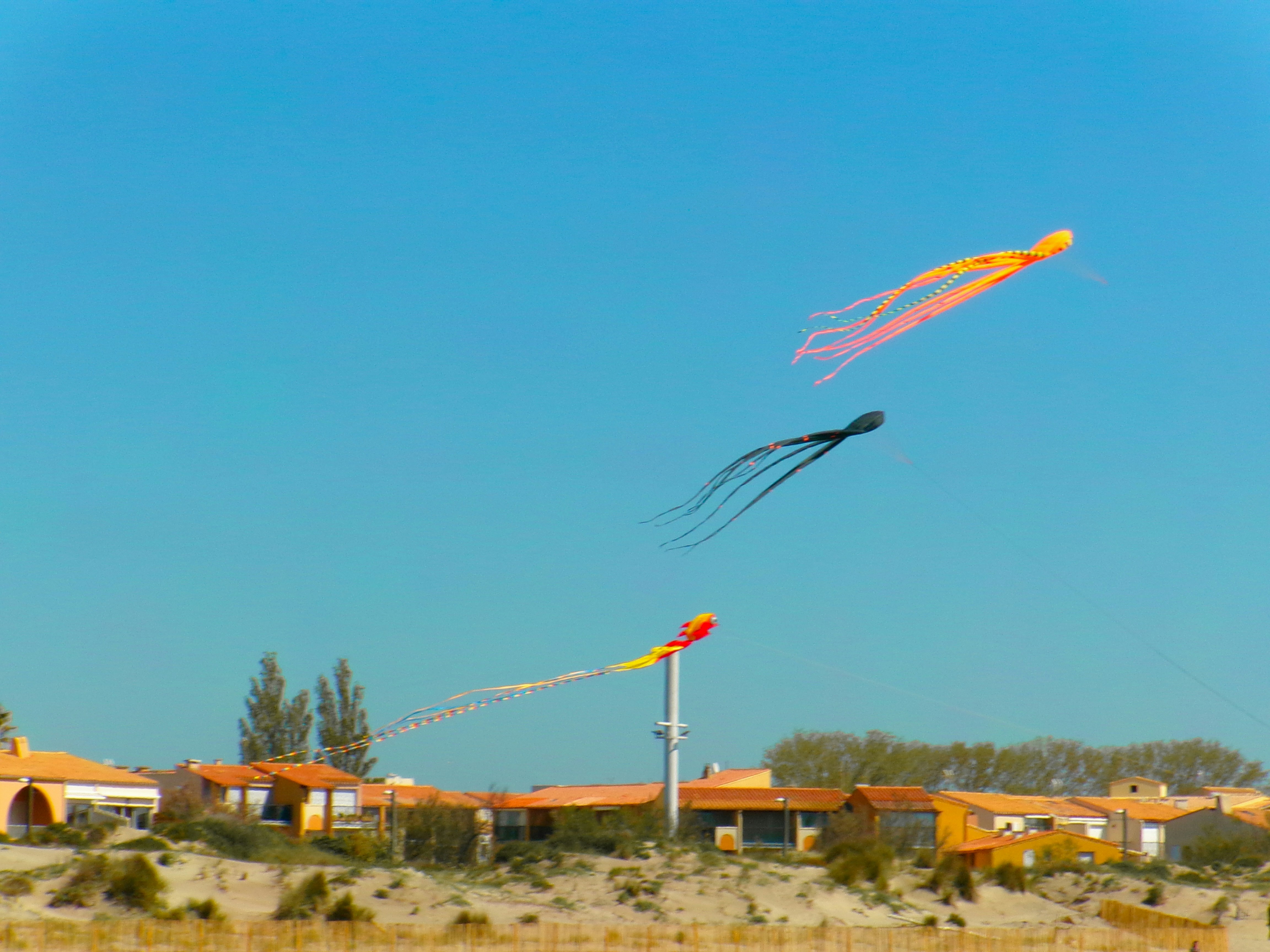 Kite Trail over Suburban Dunes